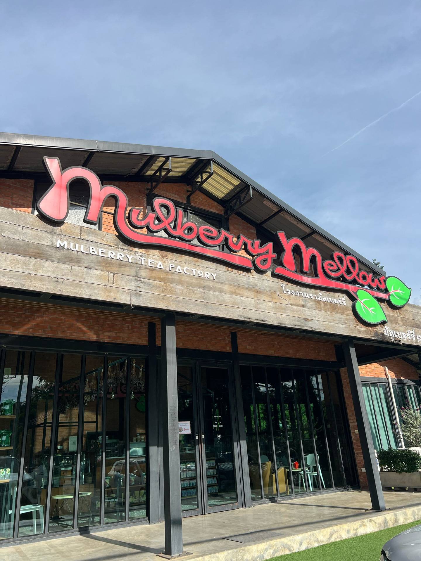 รีวิว Mulberry Mellow แคชเชียร์ร้าน 1 - Mulberry Mellow