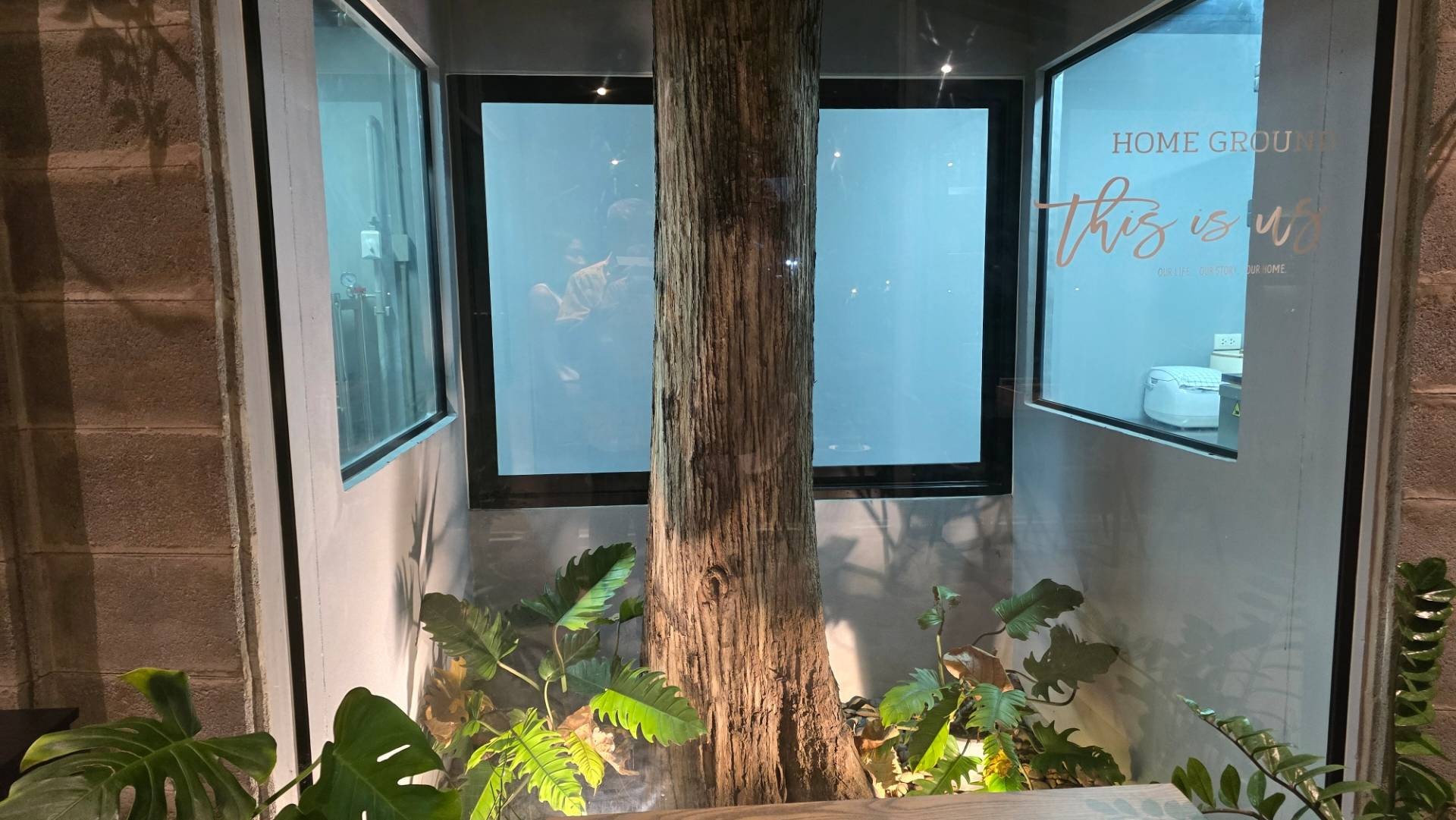 รูป Home Ground Cafe and Restaurant