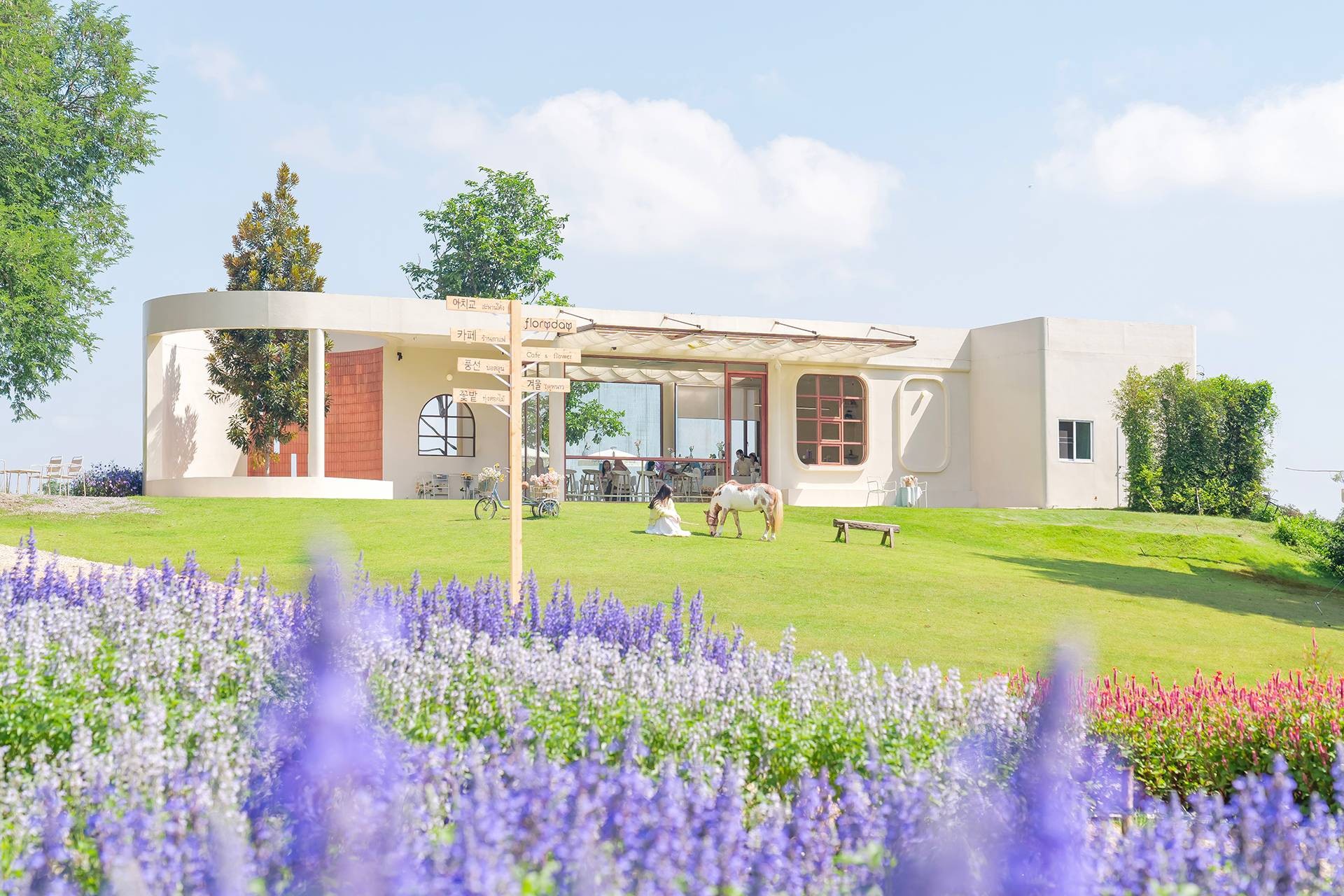 รูป Floryday Khaoyai : Cafe & Flower