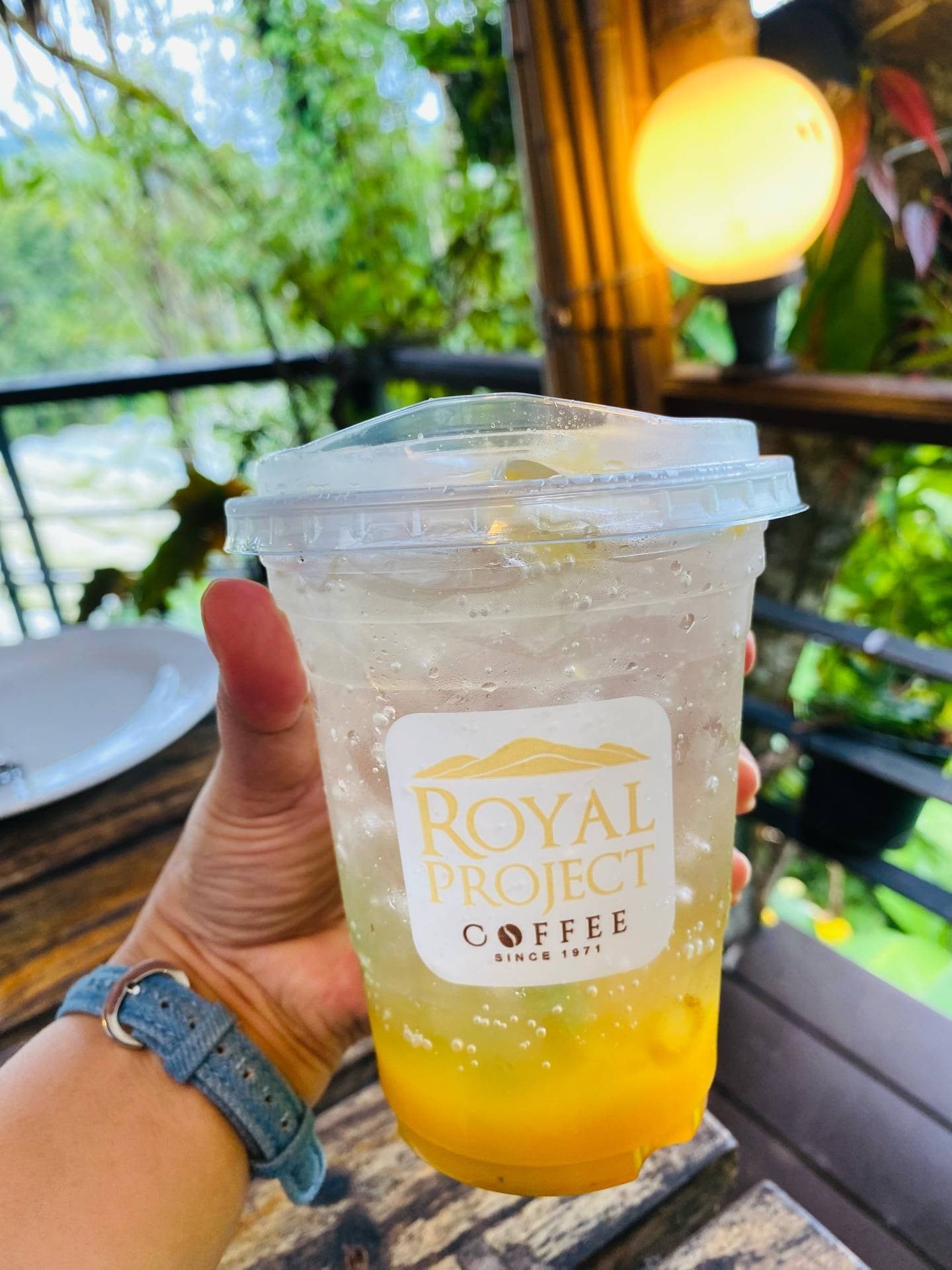 โมจิโต้ ร้าน โครงการหลวงดอยอินทนนท์ (Royal Project Inthanon)