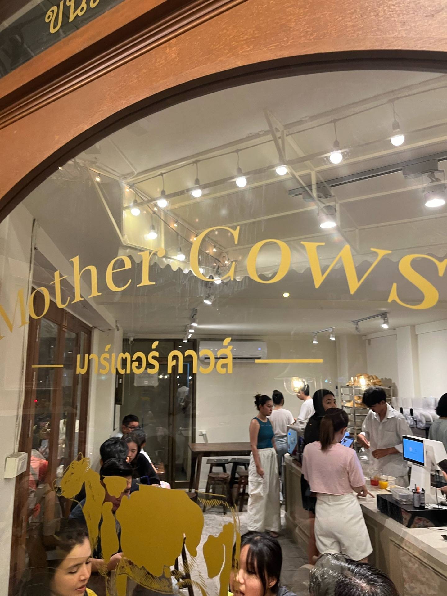 รูป Mother cows Hatyai