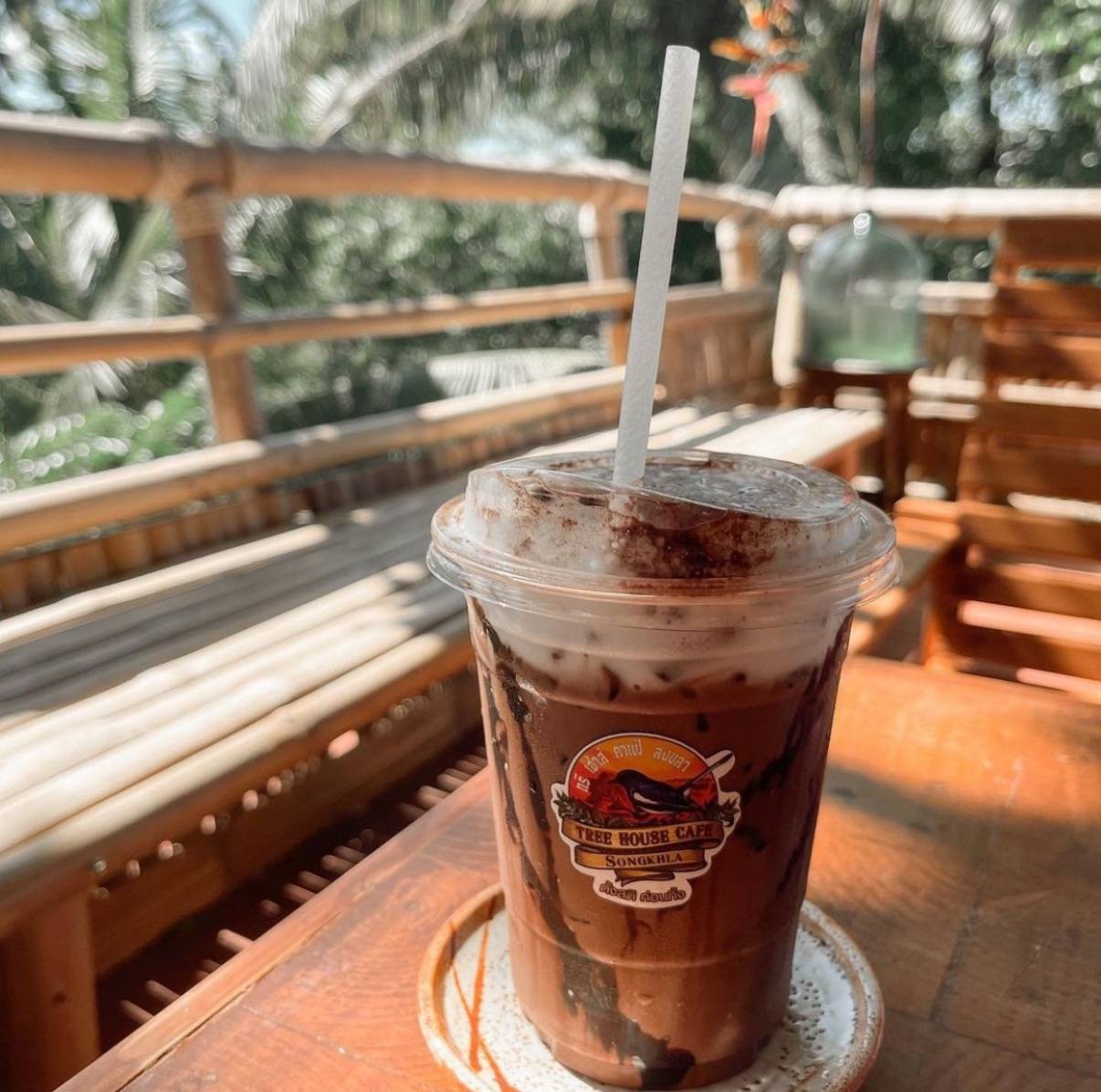 รีวิว Tree House - TreeHouse Cafe Songkhla