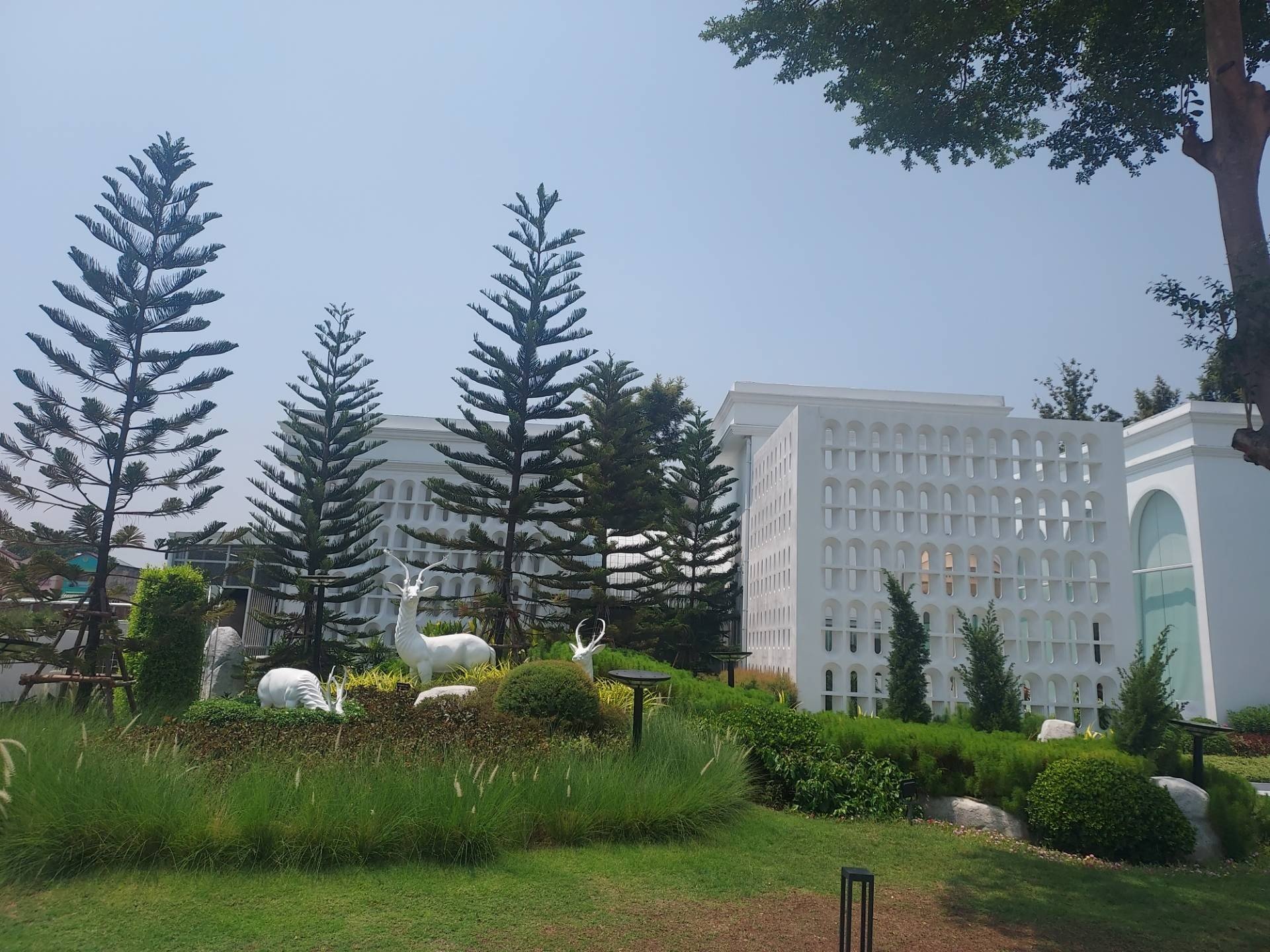 รูป Whiteline Cafe & Restaurant HQ