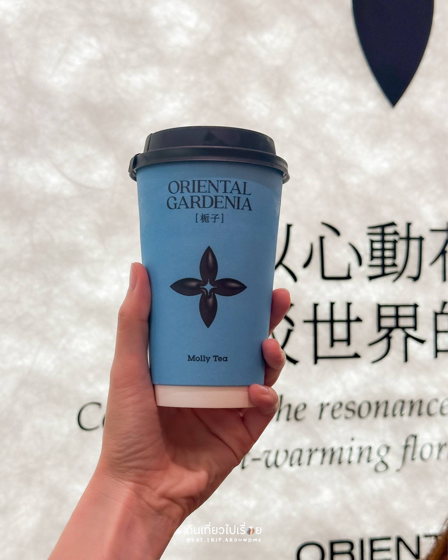 Gardenia Oolong Milk Tea ร้าน Molly Tea Siam Square