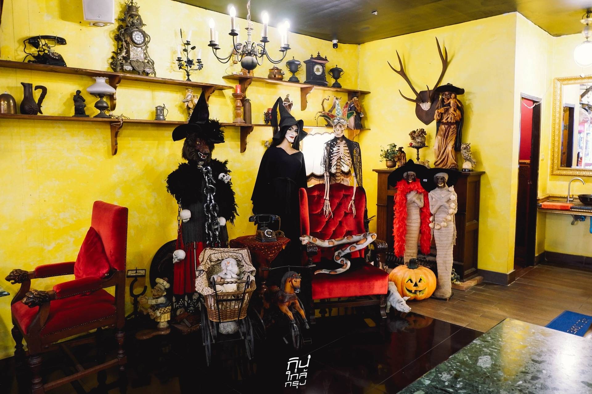 รีวิว The Witch Restaurant - ร้านแม่มด สไตล์การตกแต่งร้านเป็นเอกลักษณ์ ...