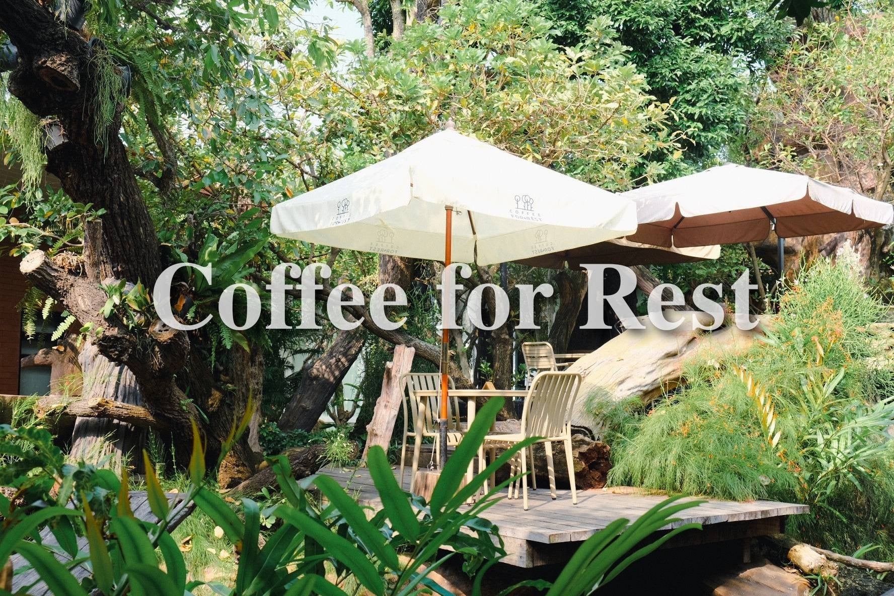 รีวิว Coffee For Rest สาขาใหญ่ - 𝐂𝐨𝐟𝐟𝐞𝐞 𝐟𝐨𝐫 𝐑𝐞𝐬𝐭 🪵🌳 #ฉะเชิงเทรา