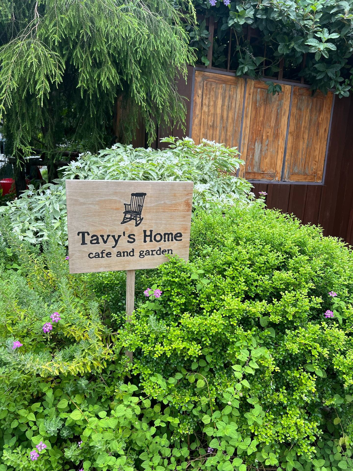 รีวิว Tavy's Home - บรรยากาศอบอุ่น ราคาและรสชาติตามมารตฐาน