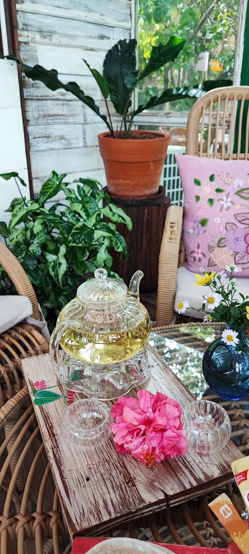 รีวิว ชบาคาเฟ่ Chaba Chabai Cafe ลำลูกกา - ร้านน่านั่ง บรรยากาศดี