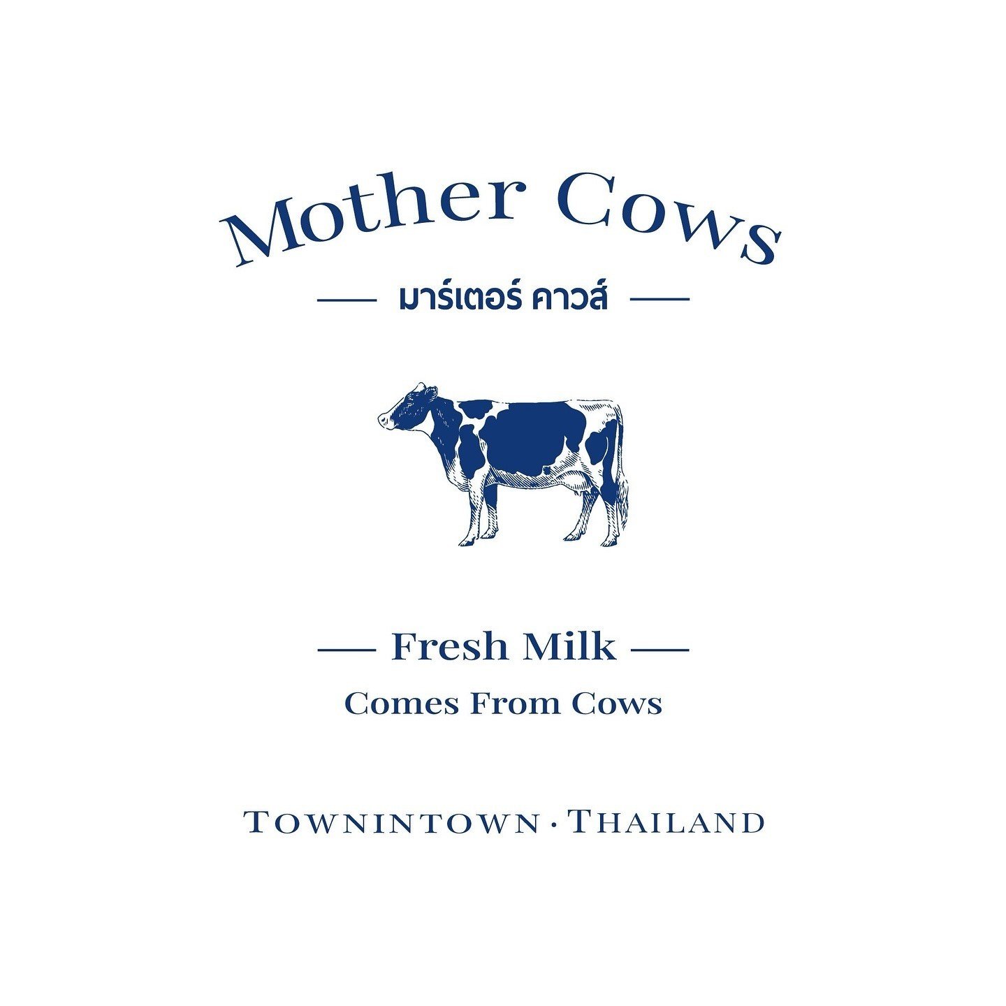 ร้าน Mother Cows ทาวน์ อิน ทาวน์ | รีวิวร้านอาหาร