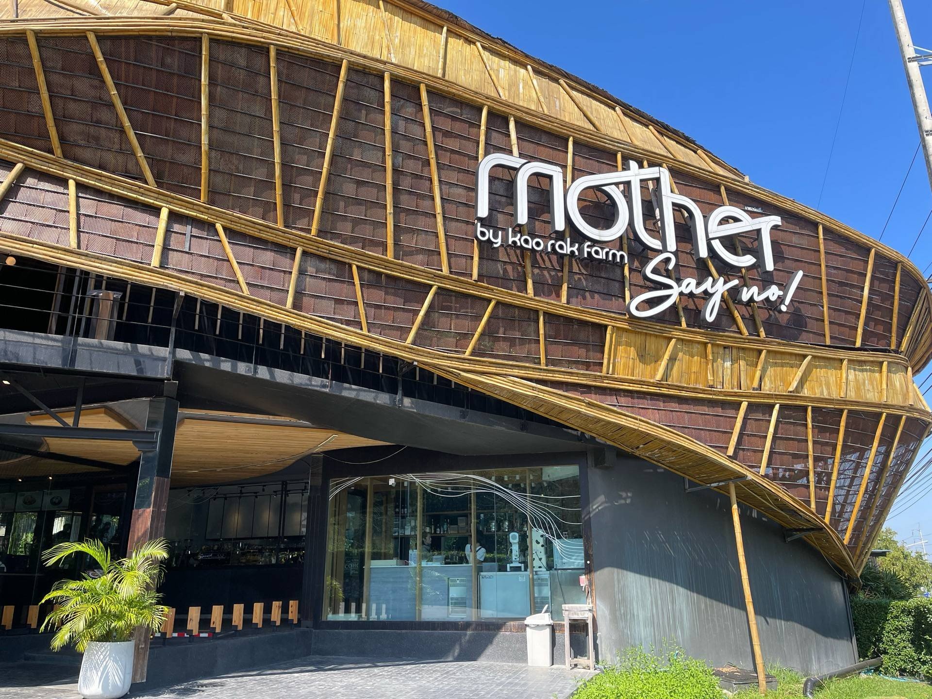 รีวิว Mother Say No - Mother Say No 🎄 เขาใหญ่