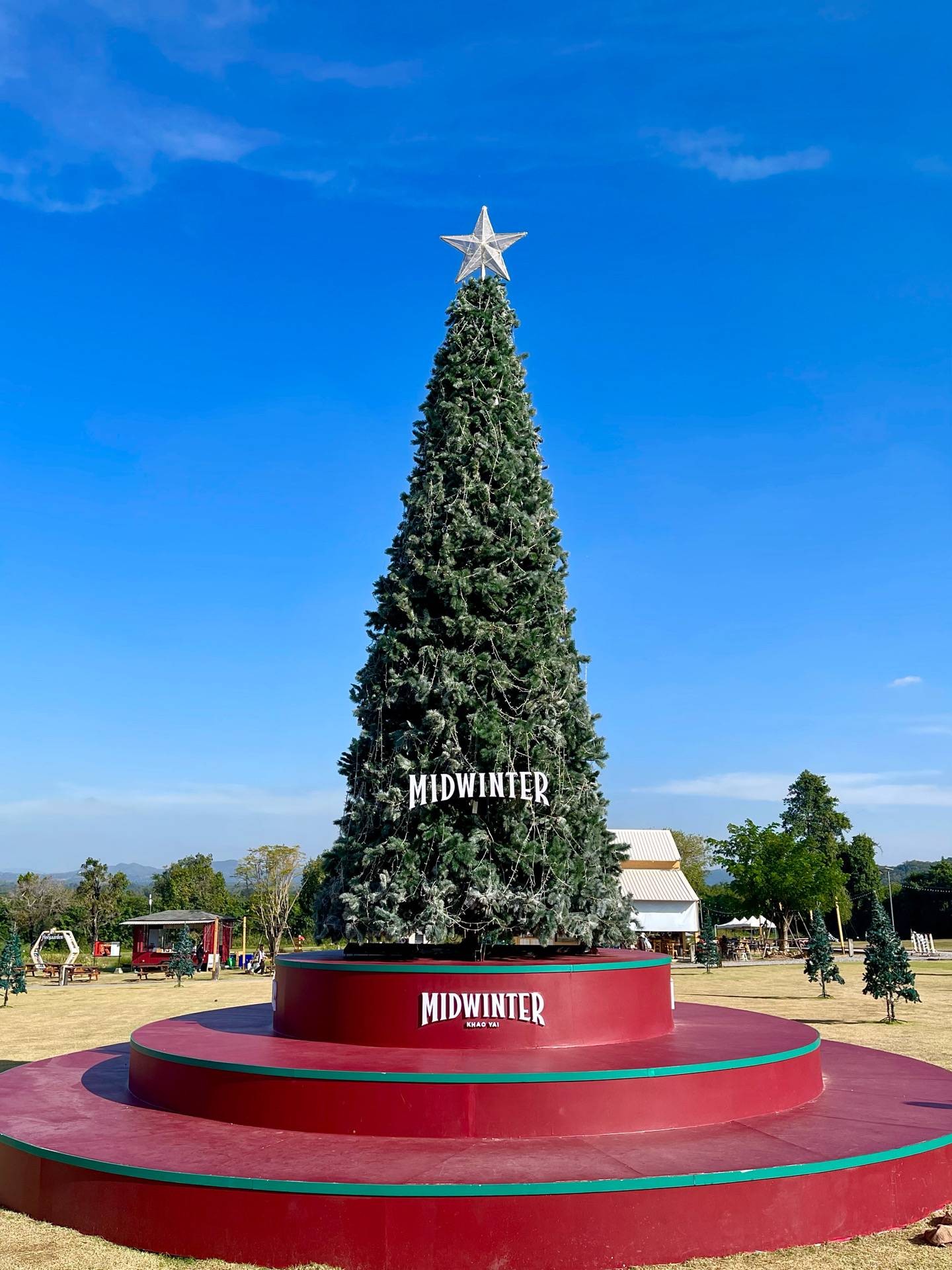 รีวิว Midwinter Green - After You 🎄 Midwinter เขาใหญ่