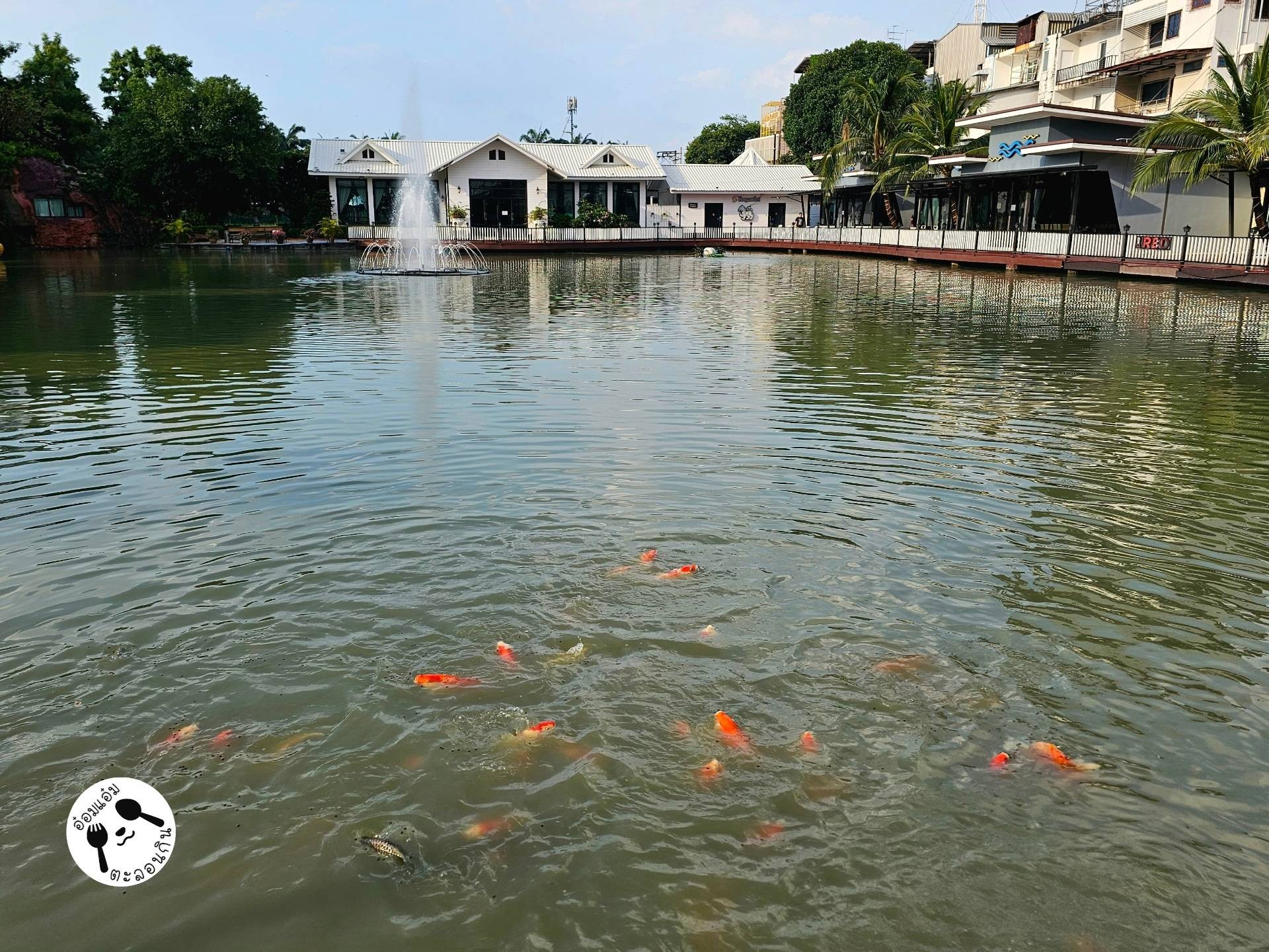 รูป ร้านอาหารบาจิกา กาญจนาภิเษก ซอย 9