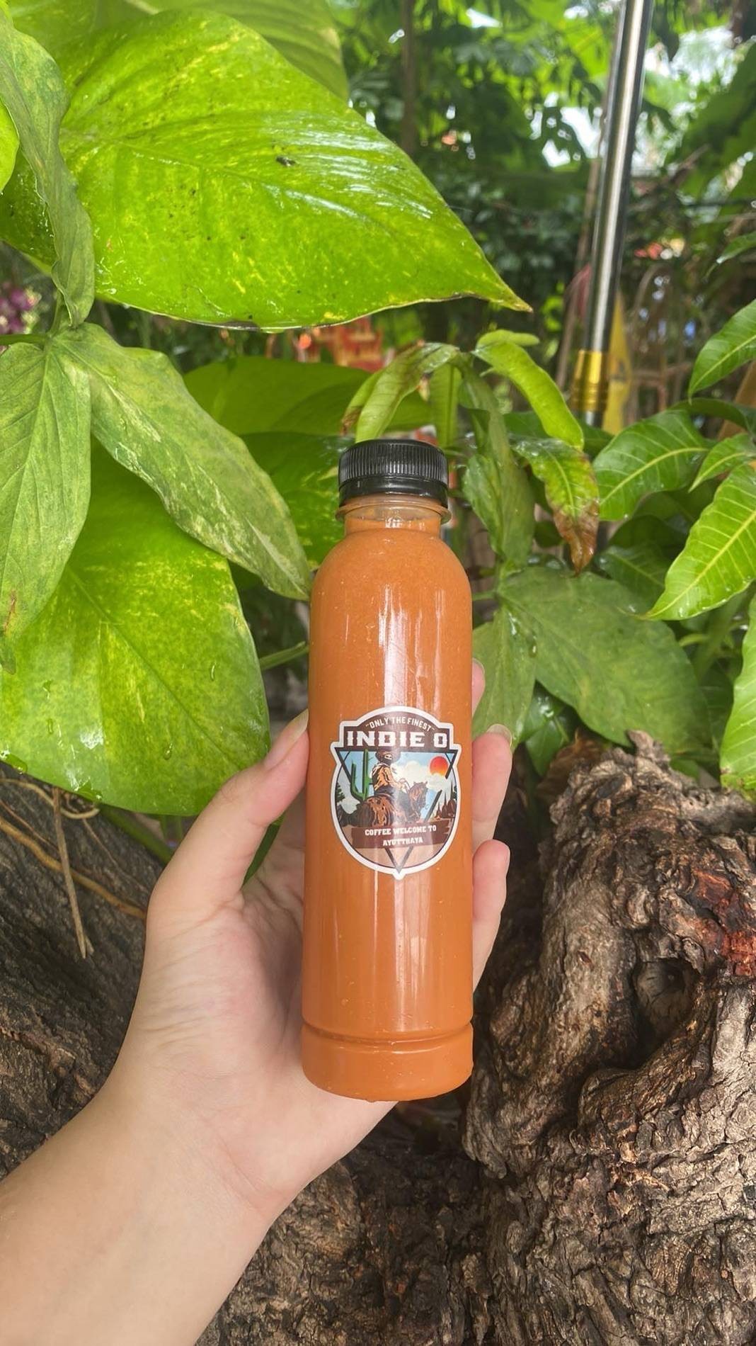 ร้าน INDIE O COFFEE | รีวิวร้านอาหาร