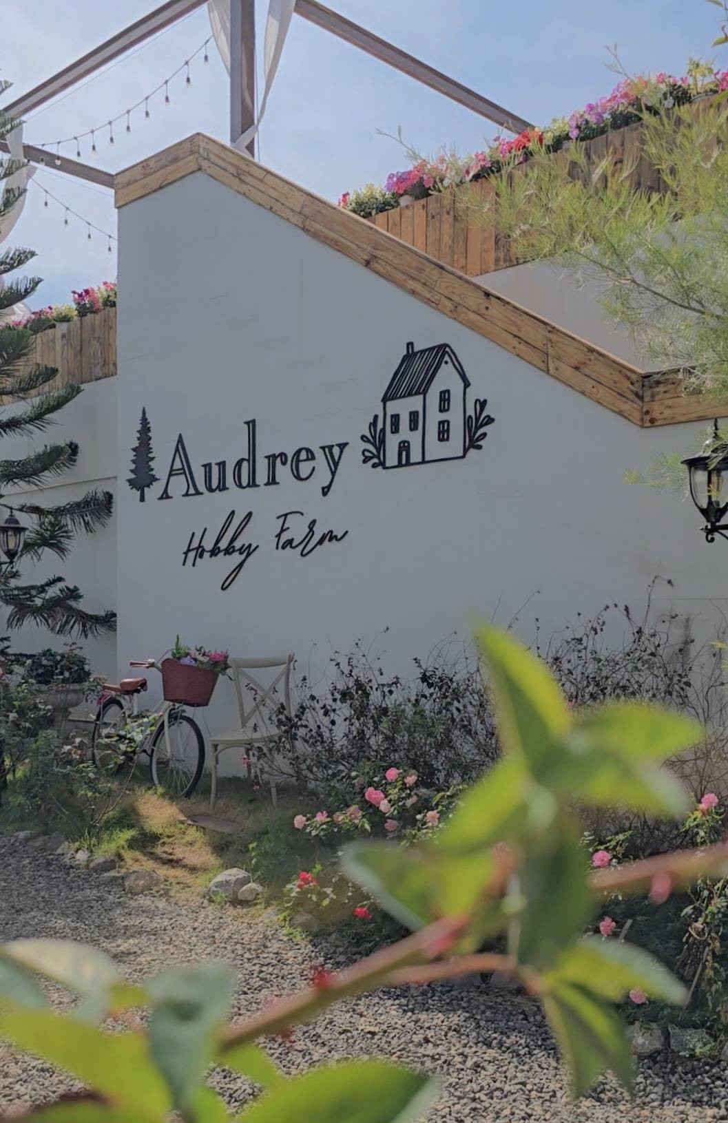 รีวิว Audrey Hobby Farm - สวยงามตามท้องทุ่ง กับ pop-up cafe กลางสวนสไตล์ยุโรป