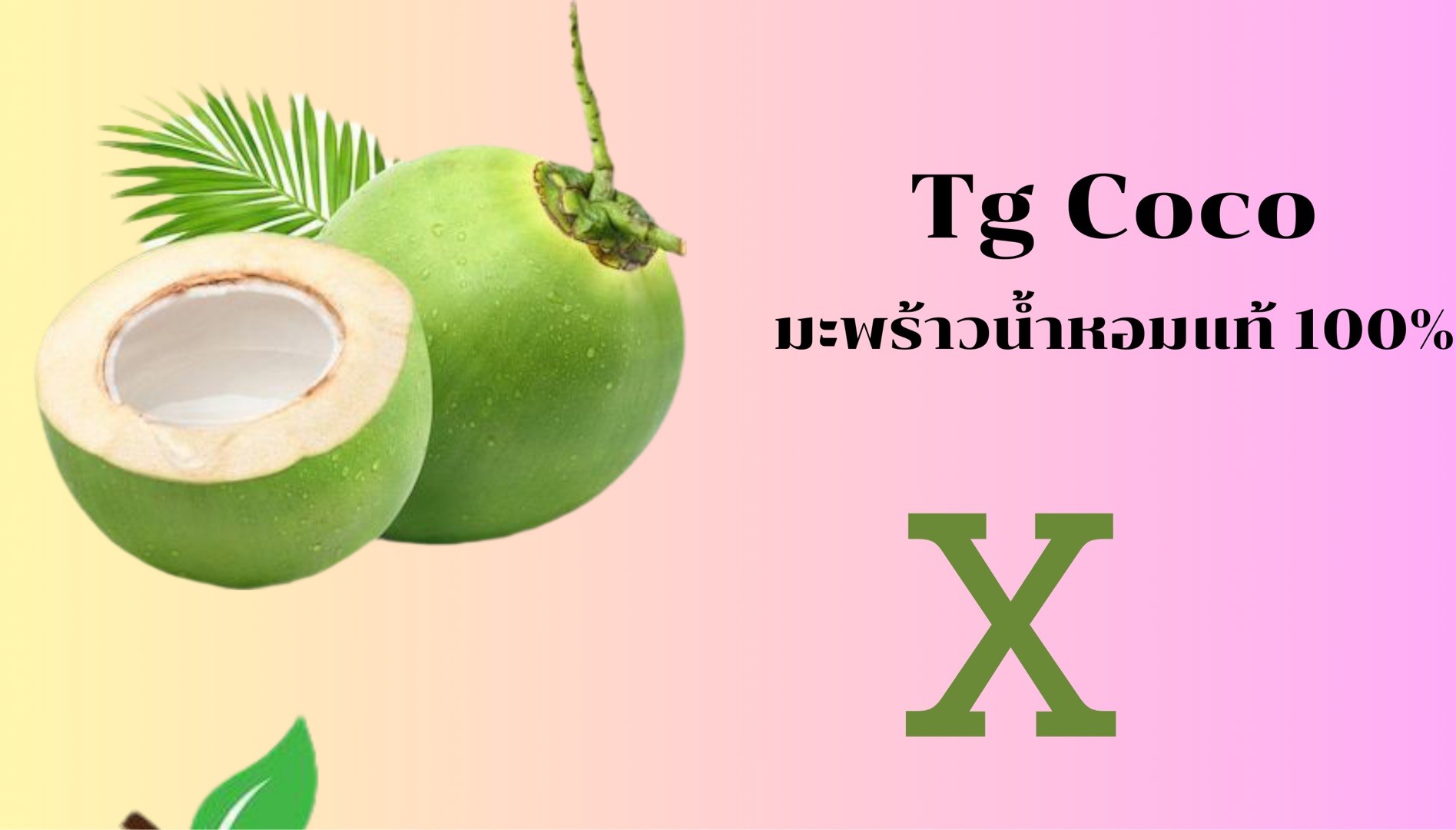 TG coco - สั่งอาหารเดลิเวอรี | Wongnai x LINE MAN