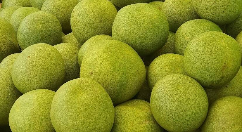 ร้าน ส้มโอทองคำ (Pomelo Gold)