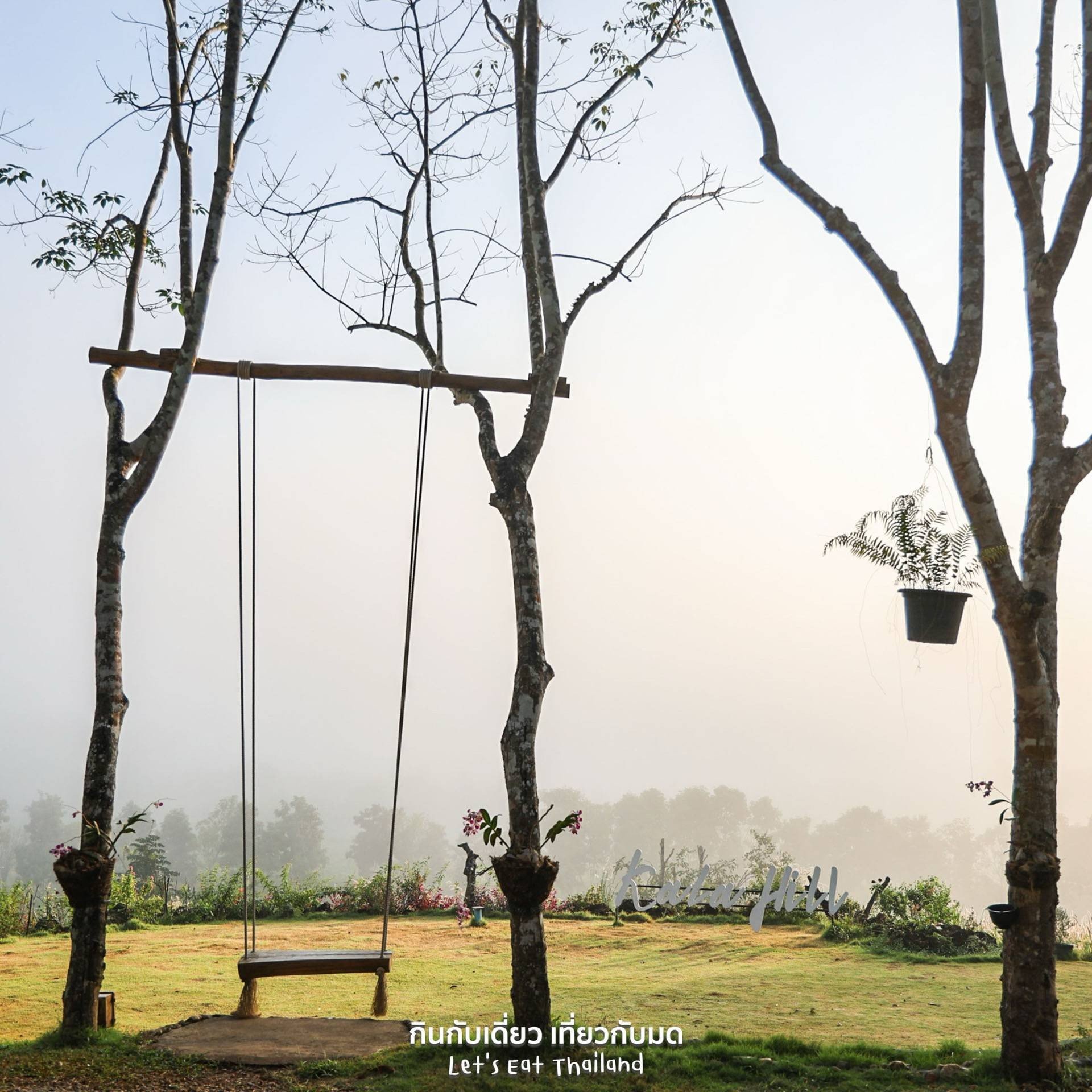 รูป Kala Hill Campiness