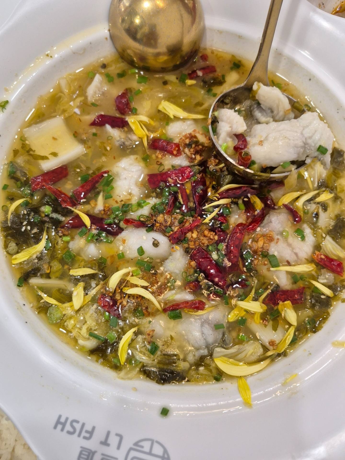 รูป LT Fish Restaurant CentralwOrld