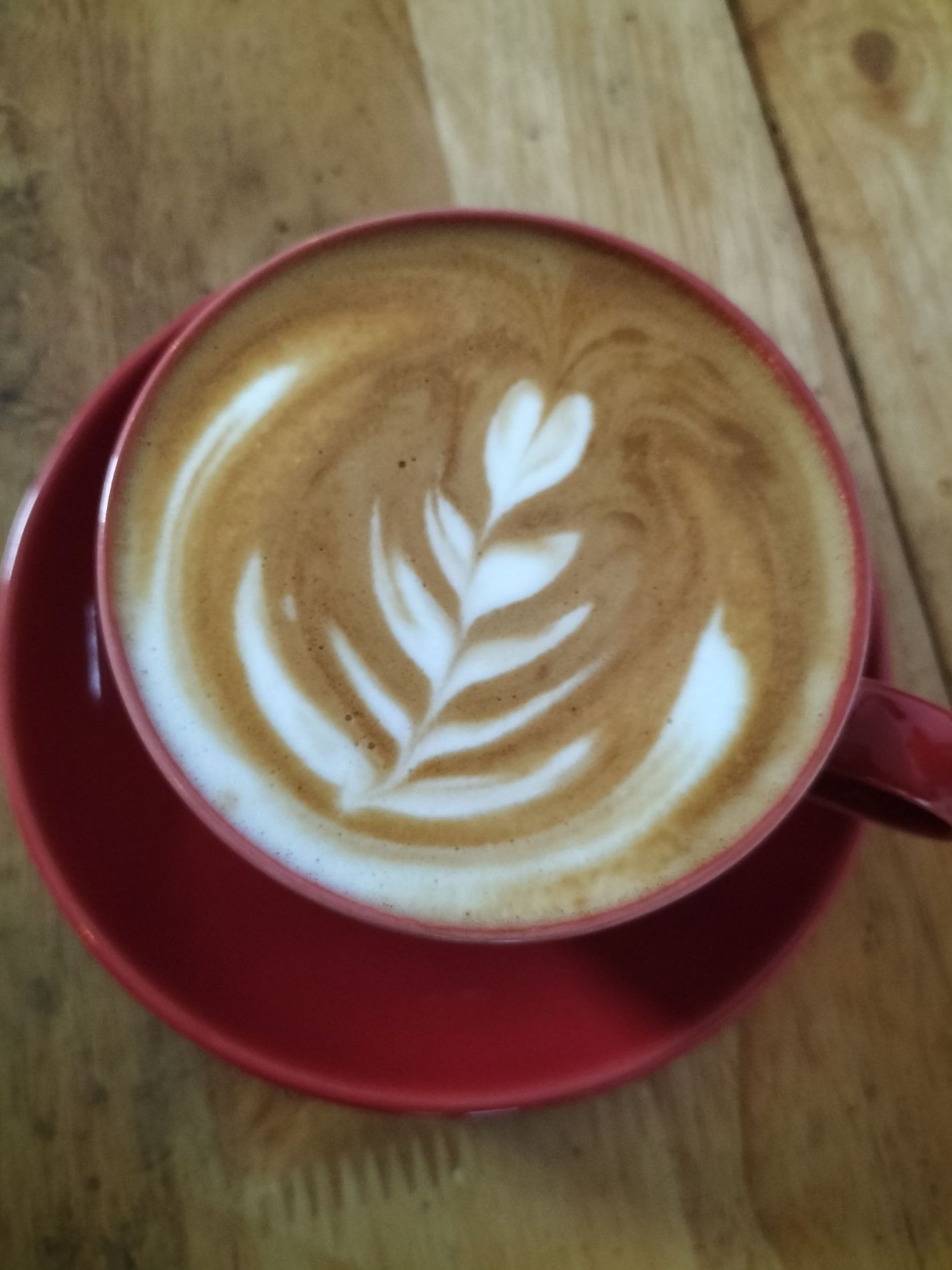 ร้าน KN Coffee (เคเอ็น คอฟฟี่) | รีวิวร้านอาหาร