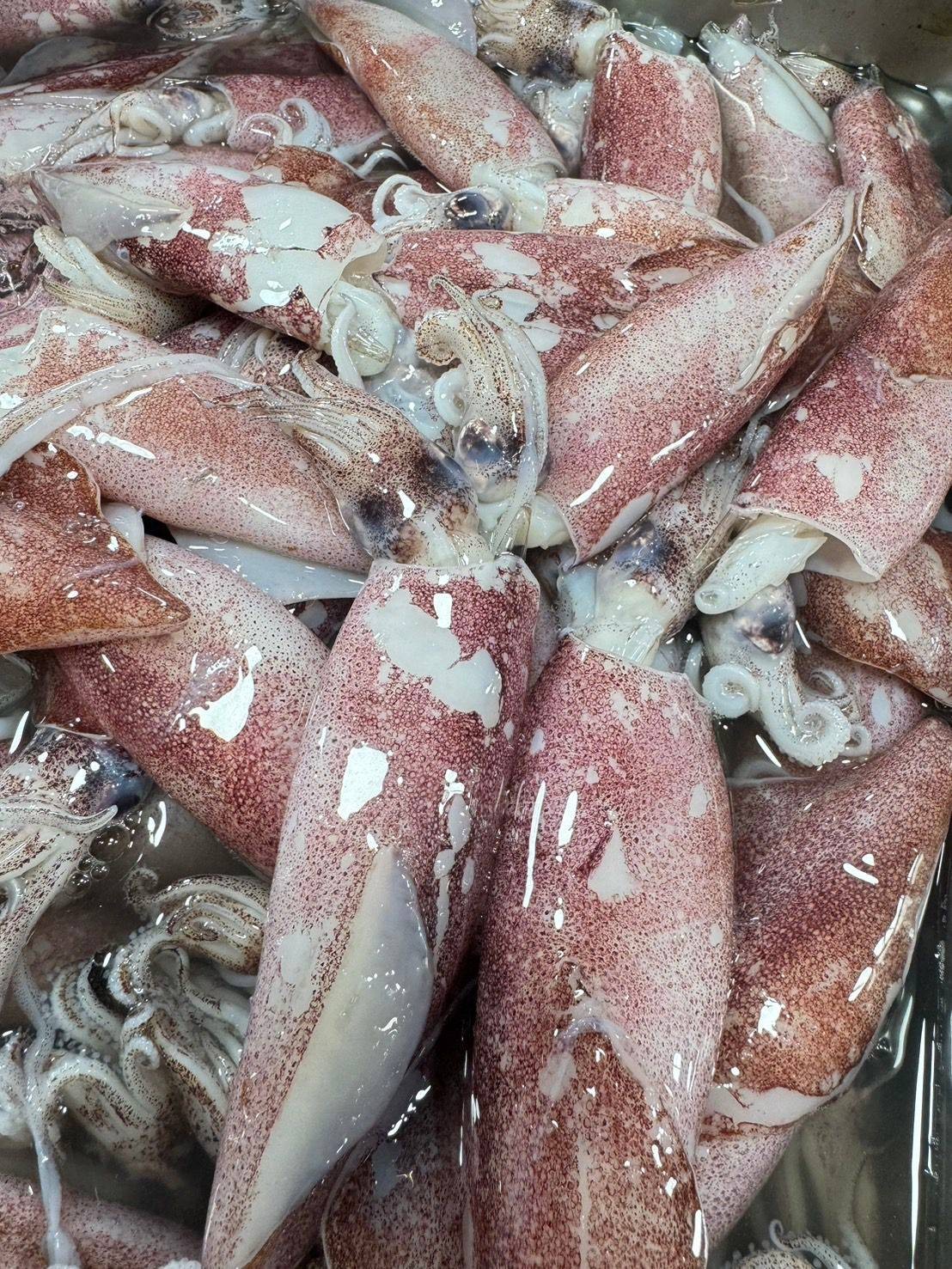 ร้าน MJ Seafood-ตลาดโบ๊ทพลาซ่า