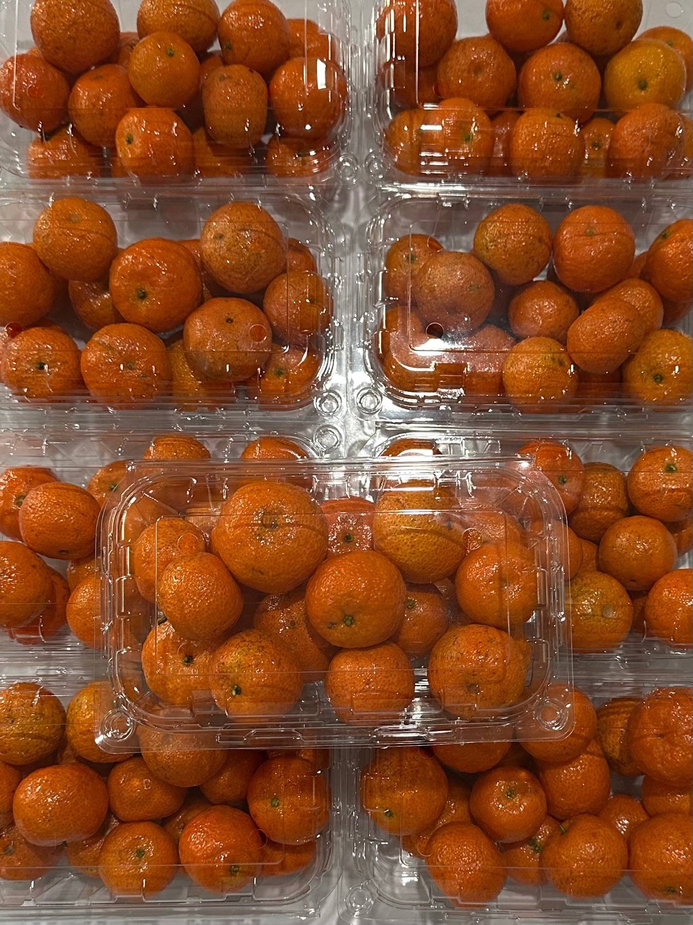 ร้าน Kra Tai ผลไม้&แซนวิชและน้ำหวาน | รีวิวร้านอาหาร