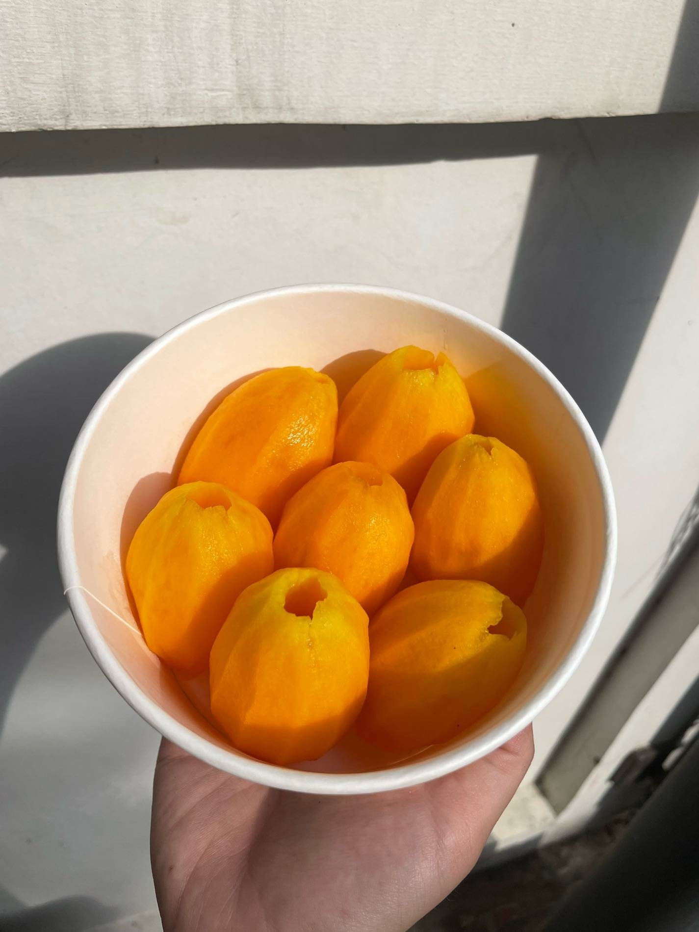 ร้าน JUJI FRUIT | รีวิวร้านอาหาร