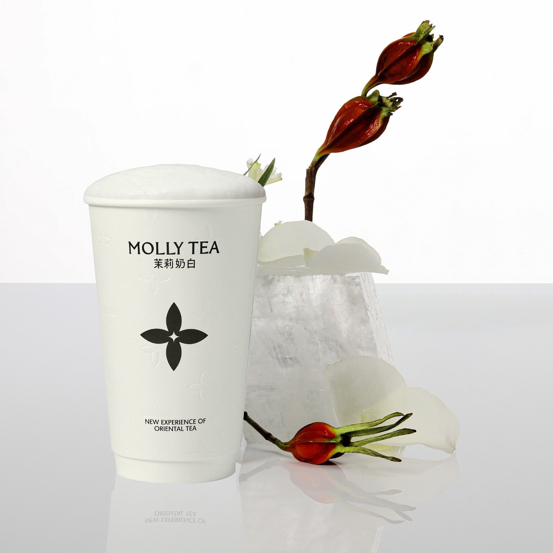 รีวิว Molly Tea Central Pinklao