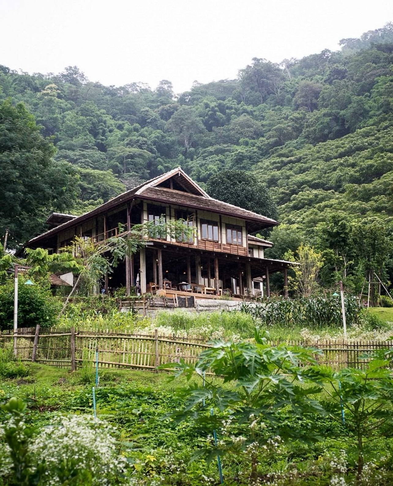 รีวิว Mori Natural Farm - ที่พักฟาร์มสเตย์และคาเฟ่สไตล์ญี่ปุ่น