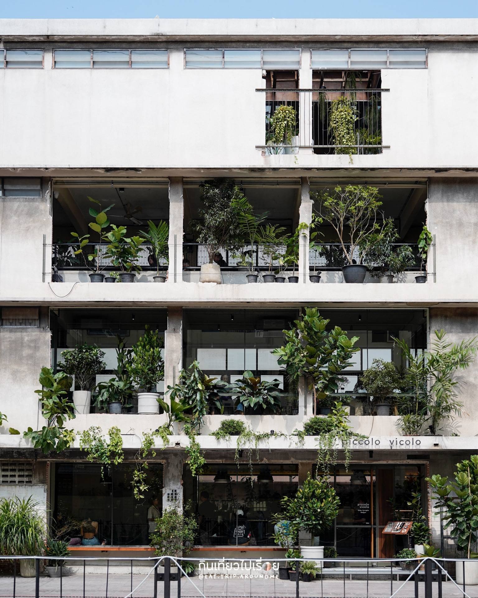 รีวิว Piccolo Vicolo Cafe วังบูรพา - สามยอด - Piccolo Vicolo สาขาวังบูร ...