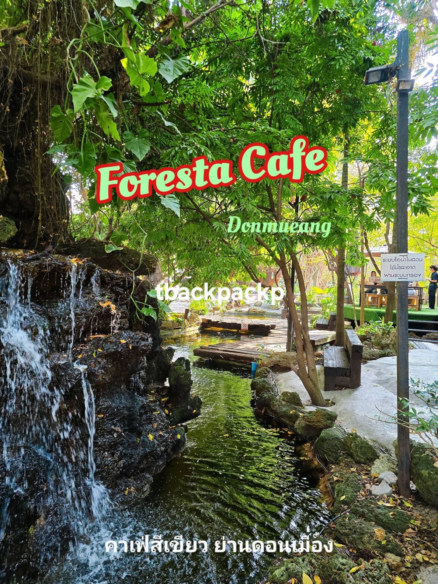 รีวิว FORESTA CAFE ดอนเมือง - Cafe ฟีล Garden ใกล้กับสนามบินดอนเมือง มา ...
