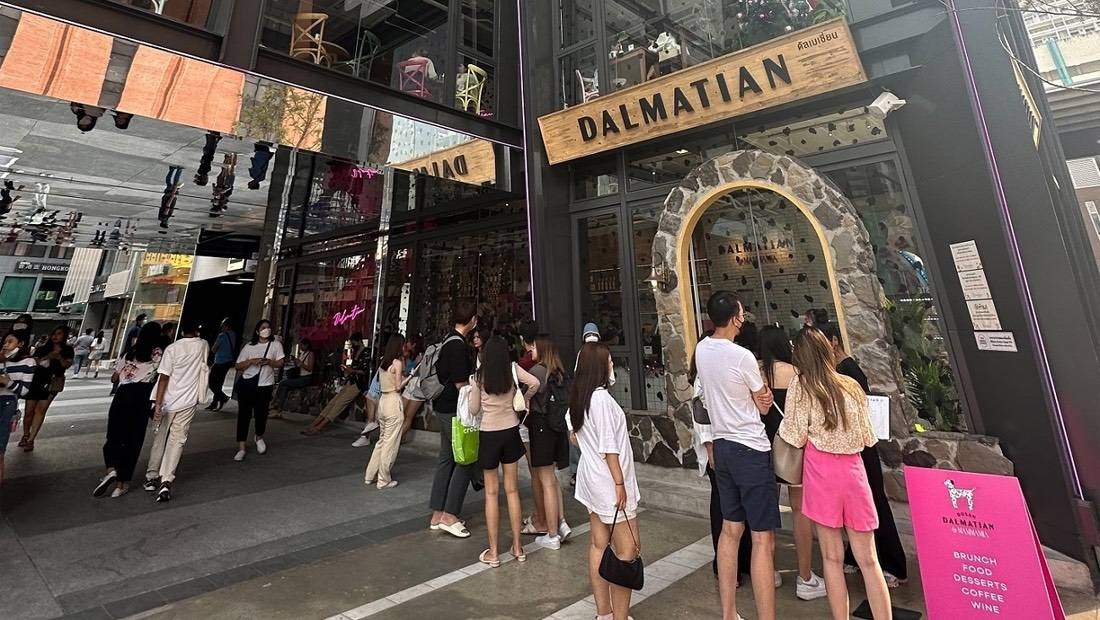 รีวิว Dosan Dalmatian