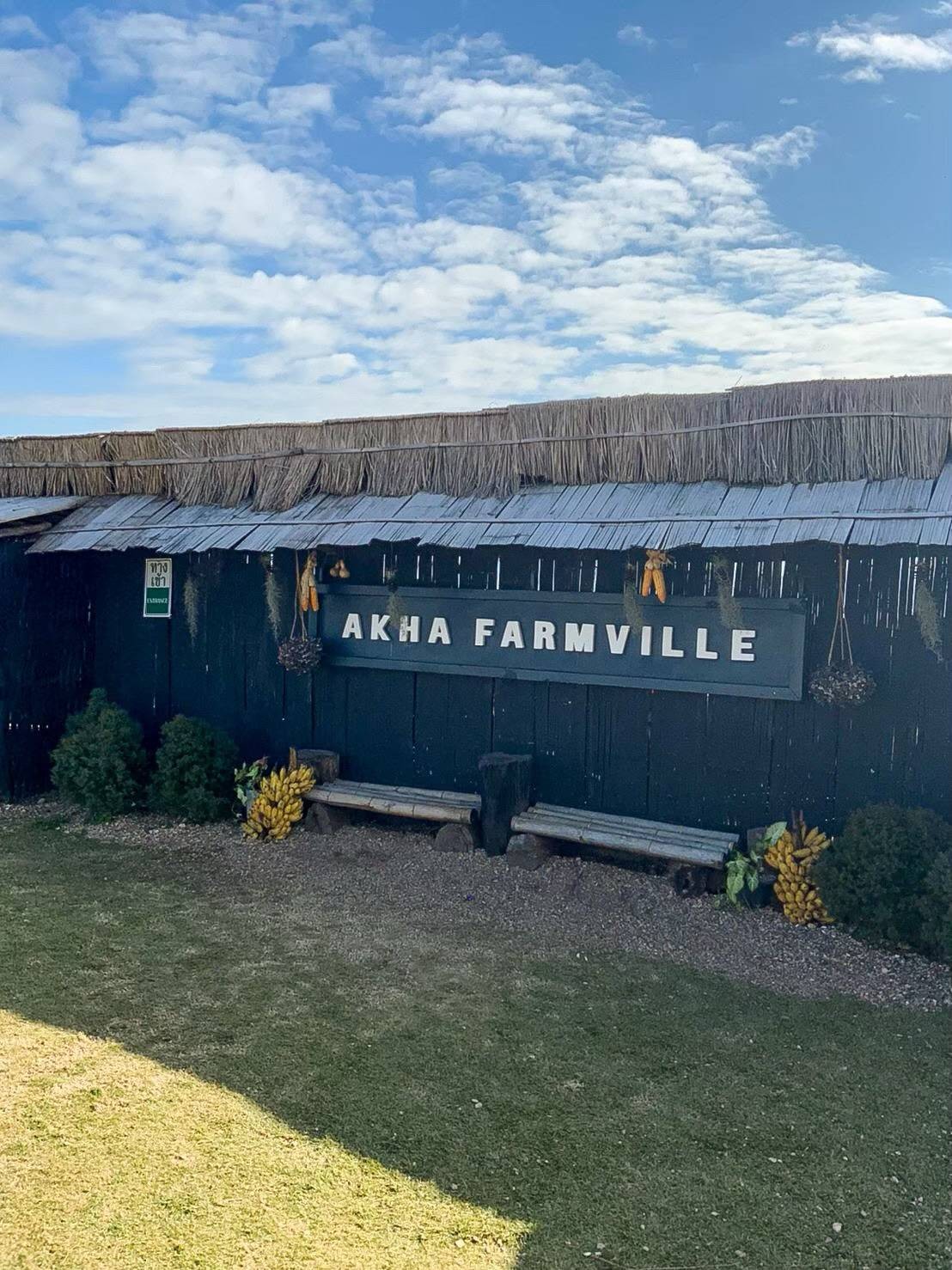 รีวิว Akha Farmville - วิวอลัง ถ่ายรูปกับน้องแกะน่ารัก