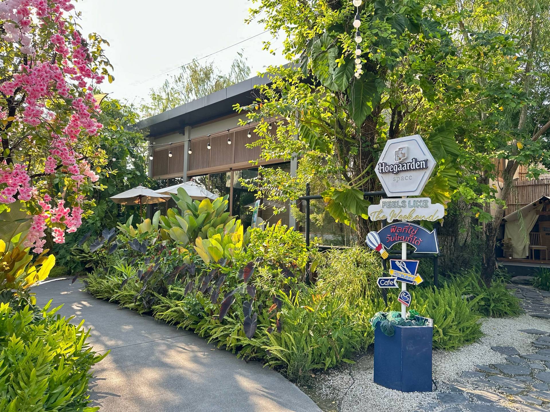 รูป ฤดูกาล คาเฟ่ Zone Cafe