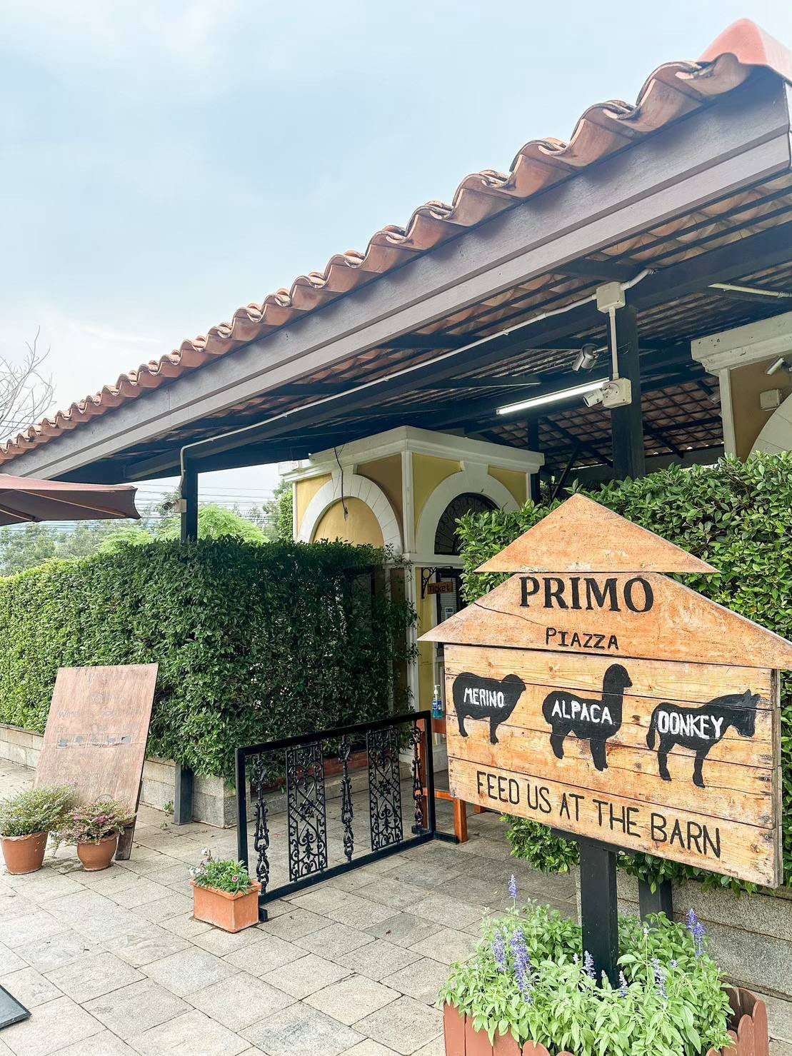 รูป Primo Piazza
