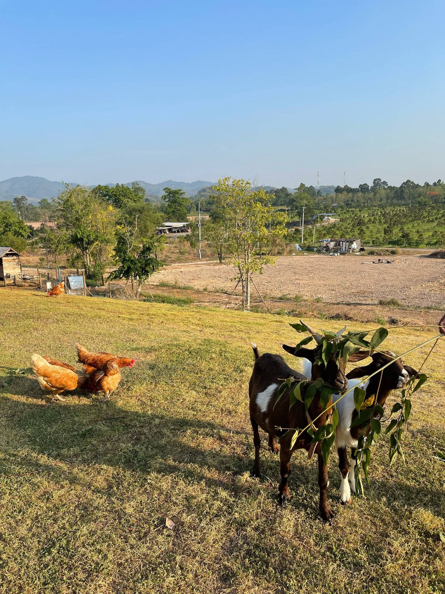 The Treat Farm - Rural Boutique Farm Stay (The Treat Farm Hotel ...