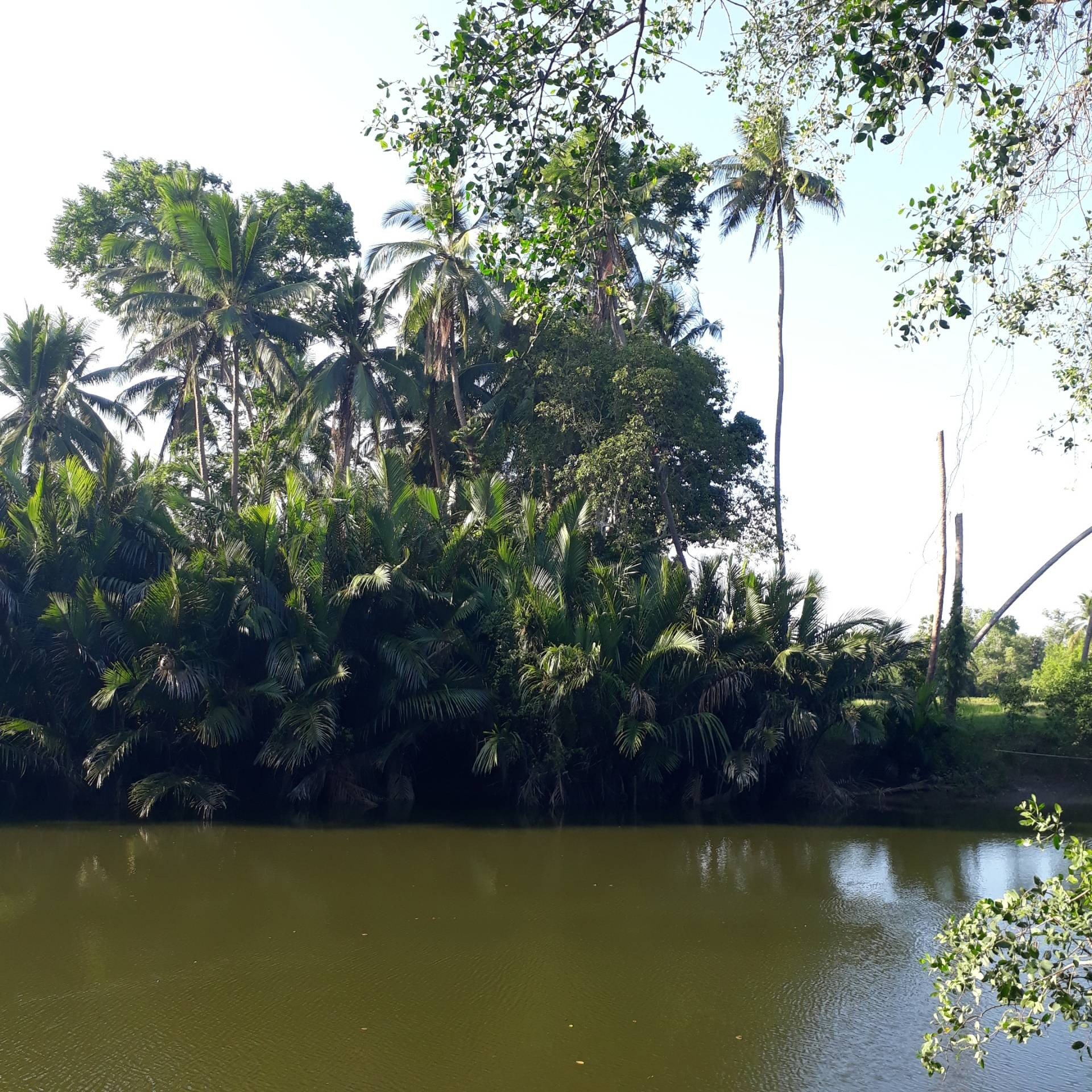 รีวิว Villa Varich - Villa Varich อำเภอเมืองชุมพร