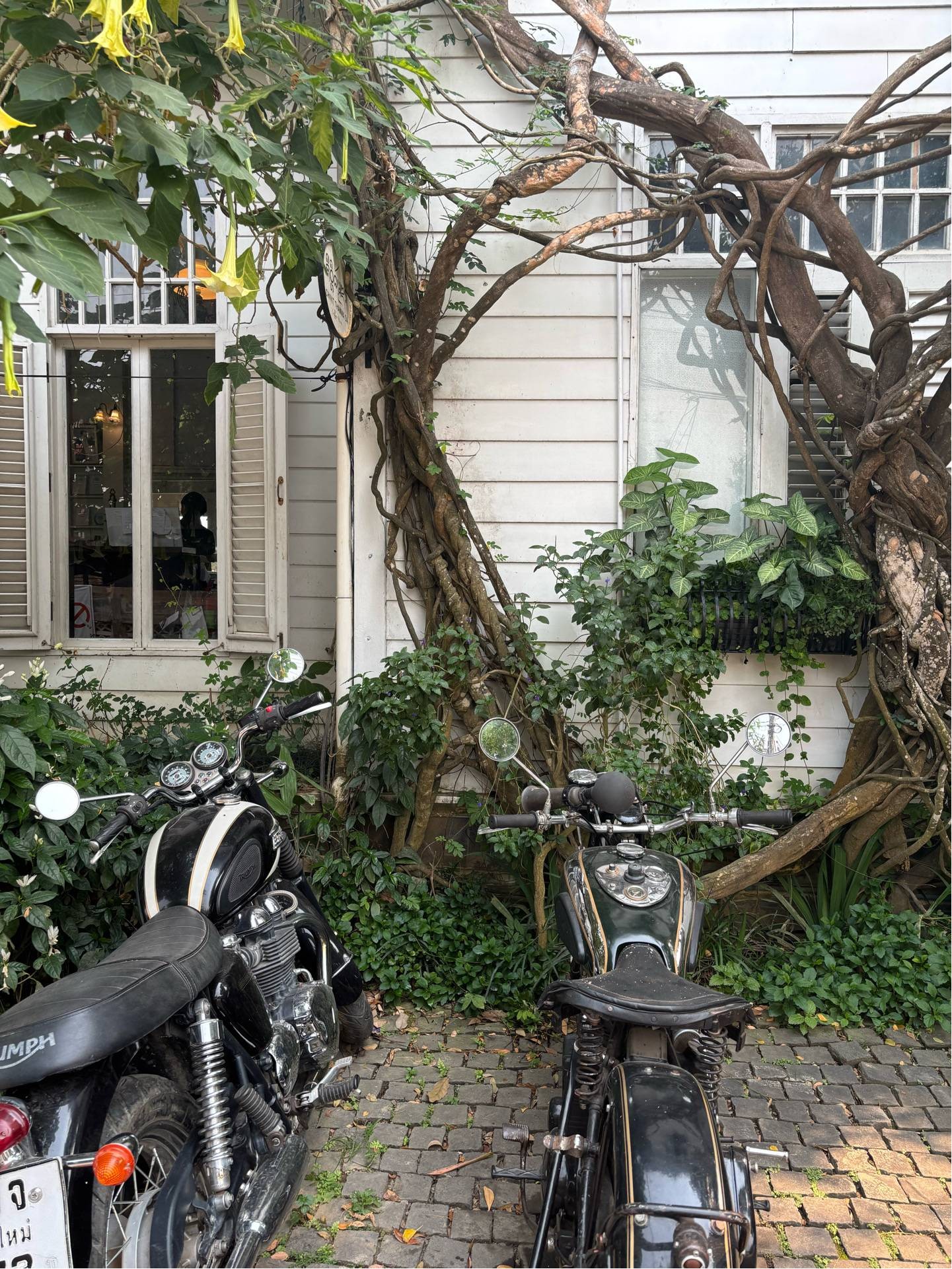 รีวิว Chivit Thamma Da Coffee House, Bistro&Bar - คาเฟ่ริมน้ำในเมือง ...