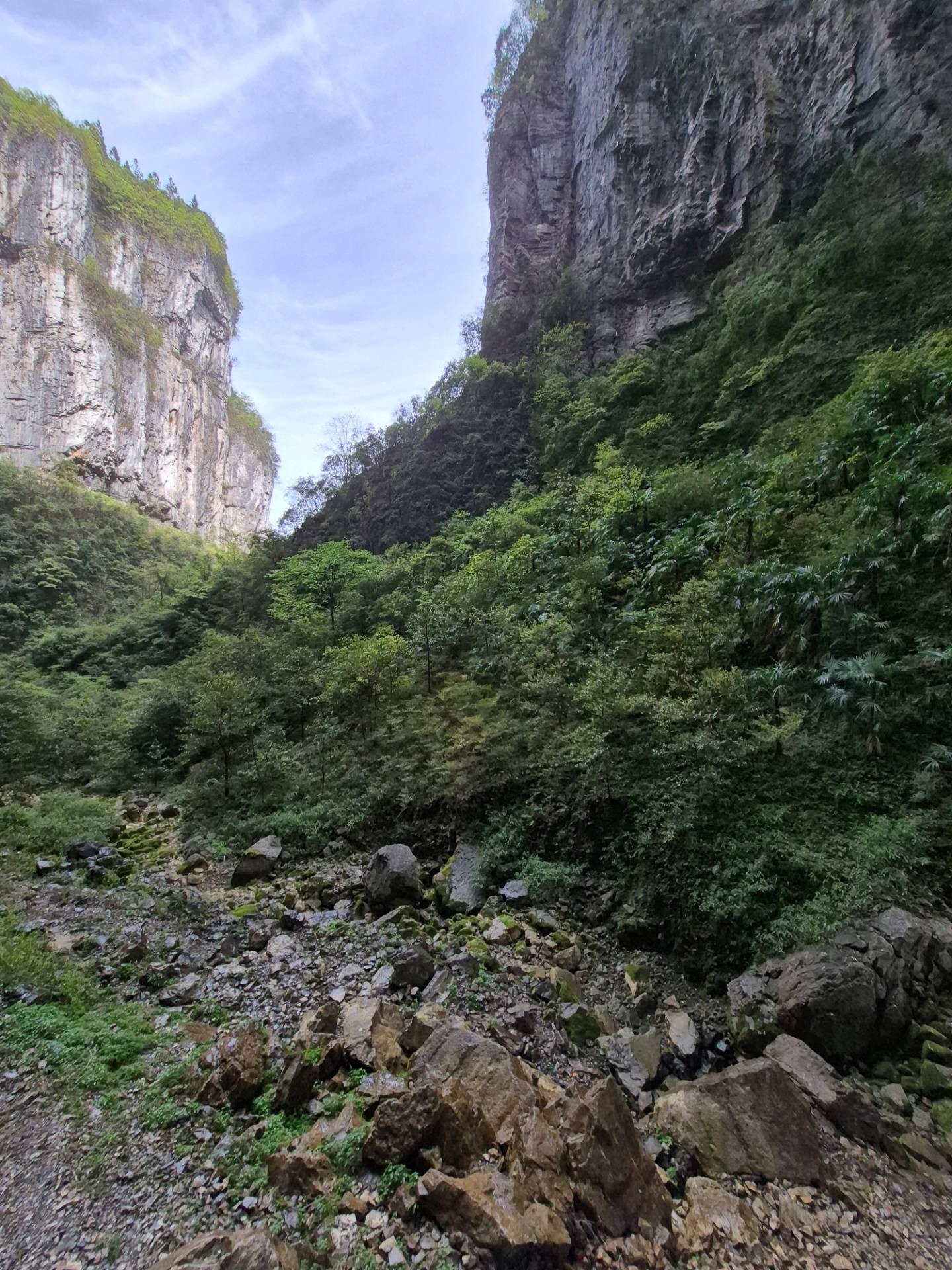 Tree Natural Bridges - รีวิวสถานที่ท่องเที่ยว