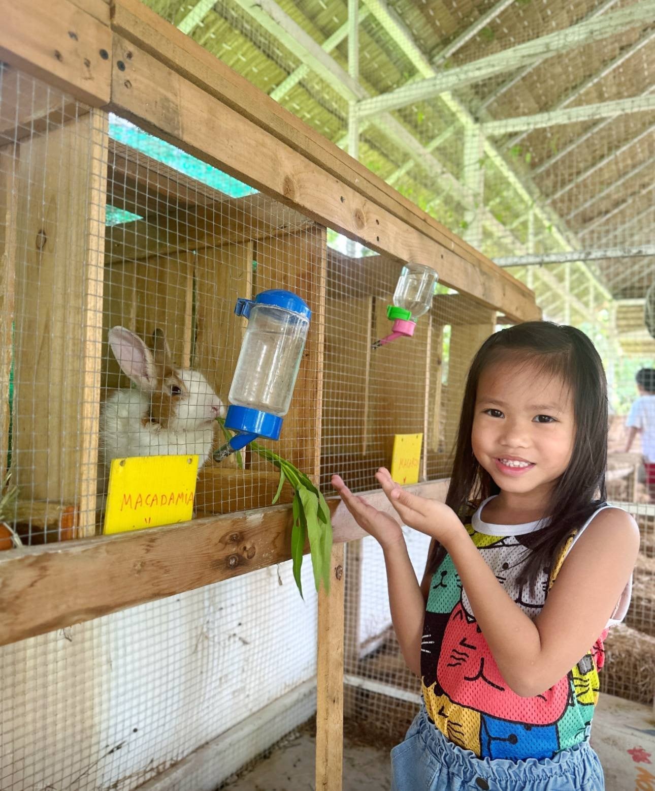 ร้าน My Little Farm - Kid Cafe | รีวิวร้านอาหาร