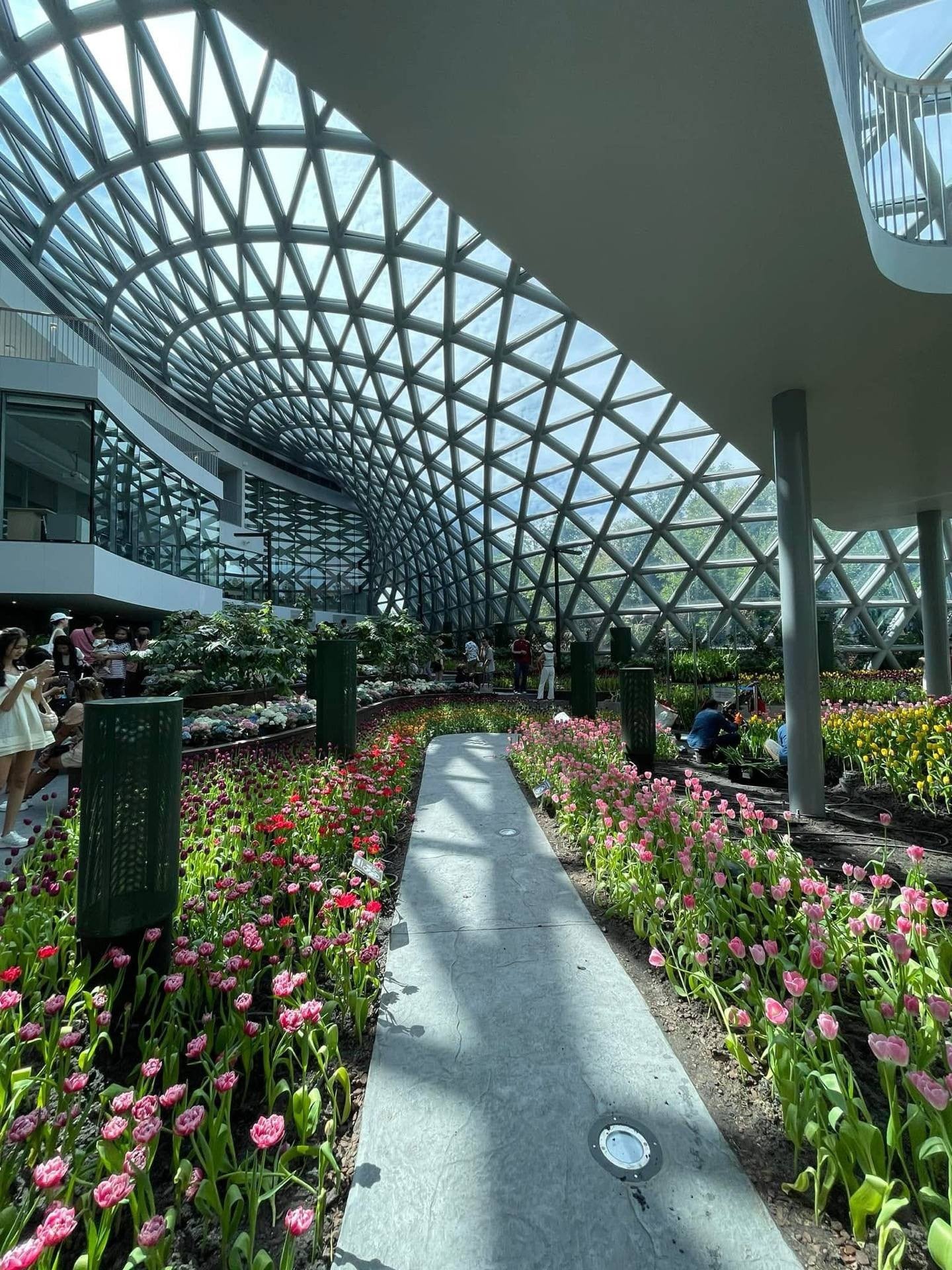 รีวิว Miracle Of Natural Rayong - สวนทิวลิปสวย ไม่ต้องบินไปเนเธอร์แลนด์