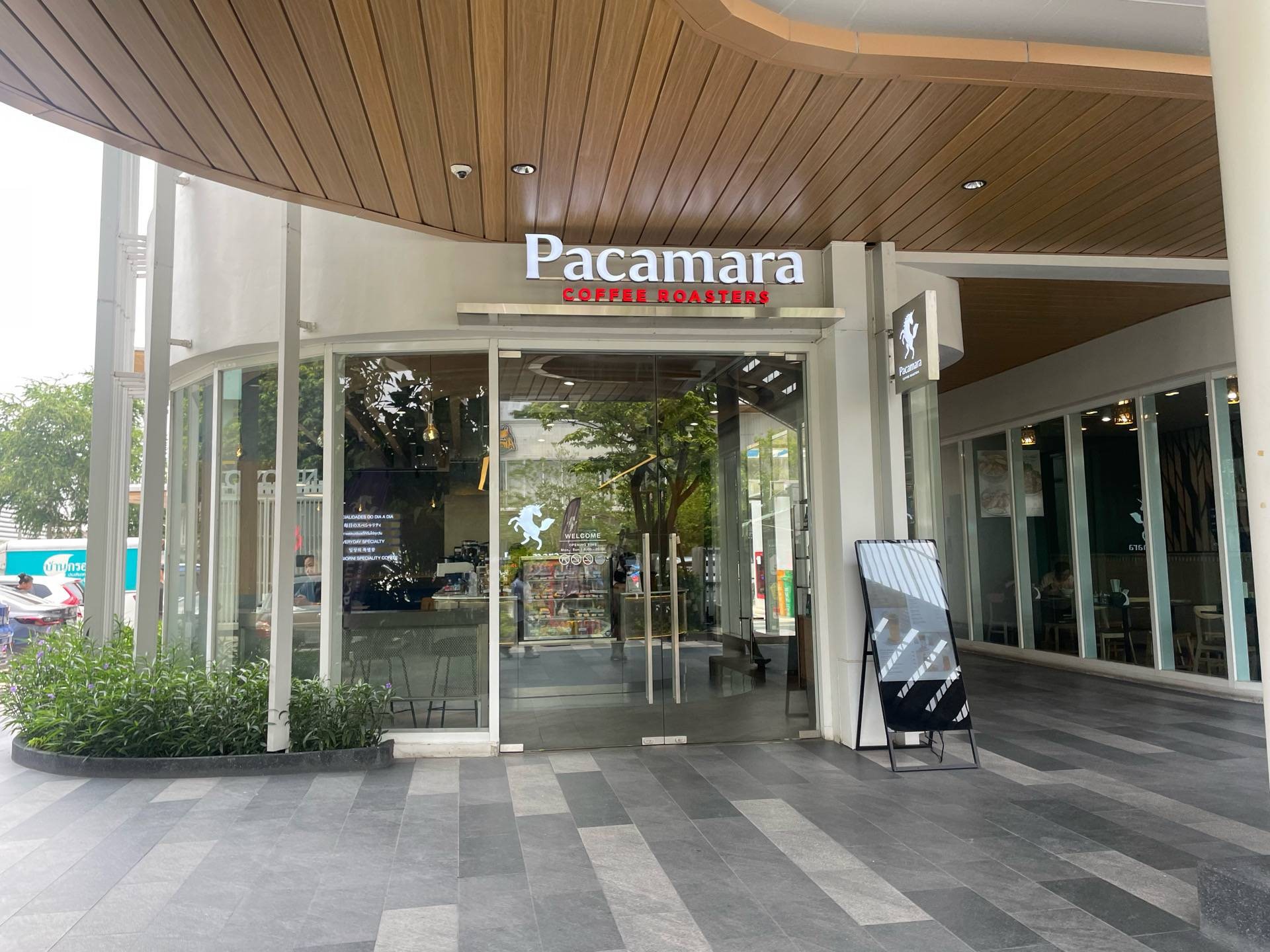 รีวิว PACAMARA Vibhavadi Rangsit 62 - ร้านกาแฟ ดูดีสไตล์