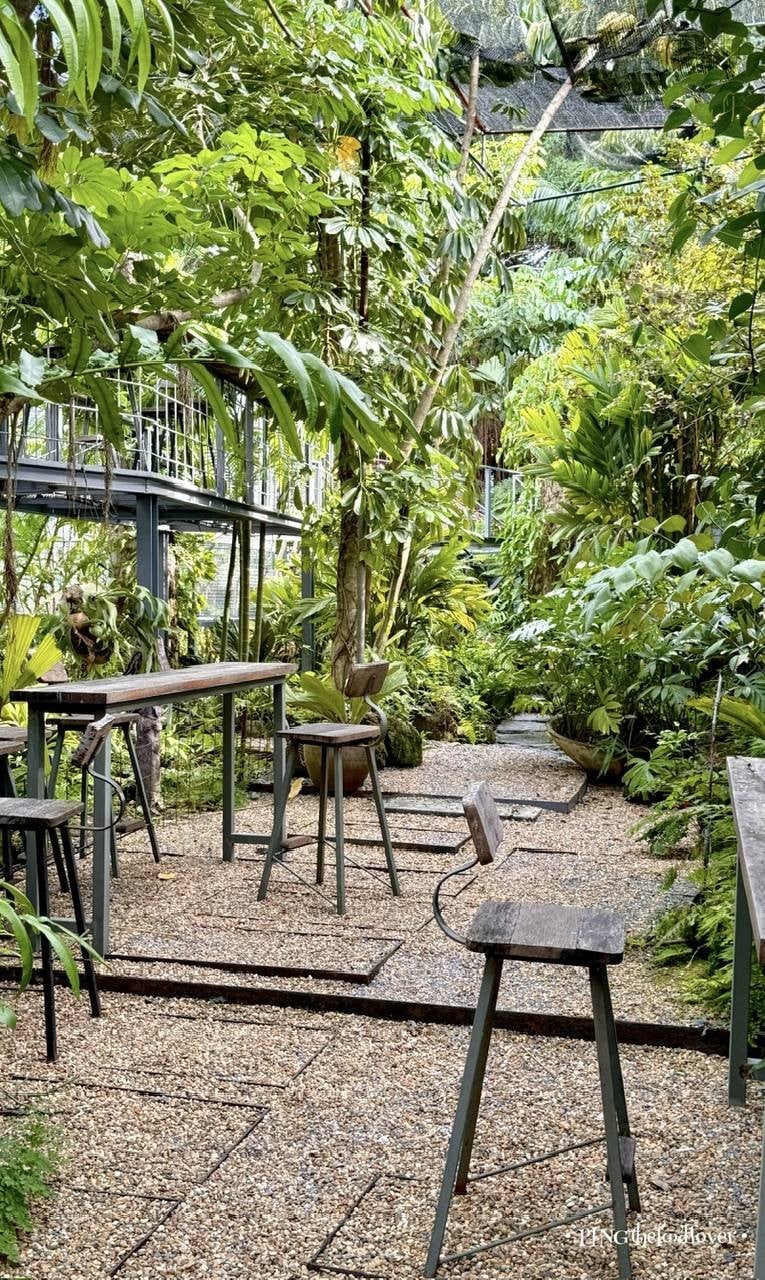 รูป Botanist activity space & cafe