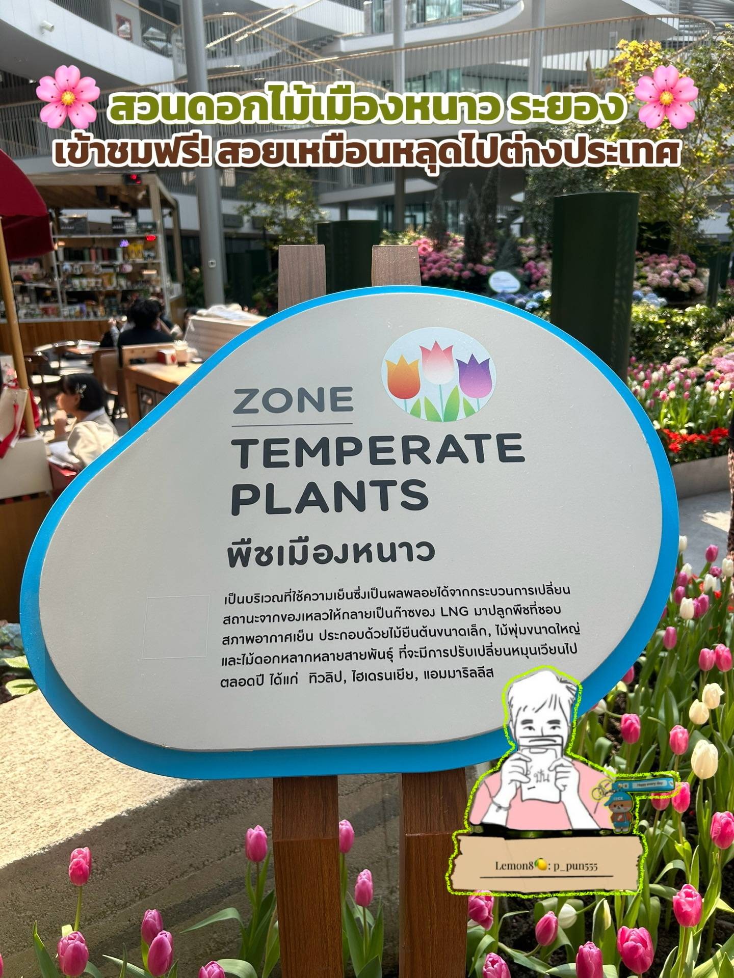 รีวิว Miracle Of Natural Rayong - 🌸 สวนดอกไม้เมืองหนาว ระยอง 🌸 เข้าชมฟรี