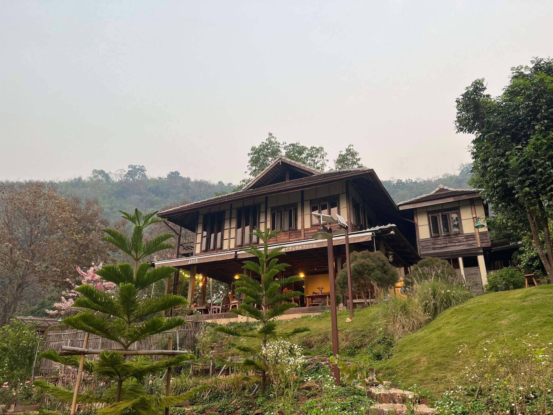 รีวิว Mori Natural Farm Stay - Mori Natural Farm @Mae Rim, Chiang Mai 🫶🏻