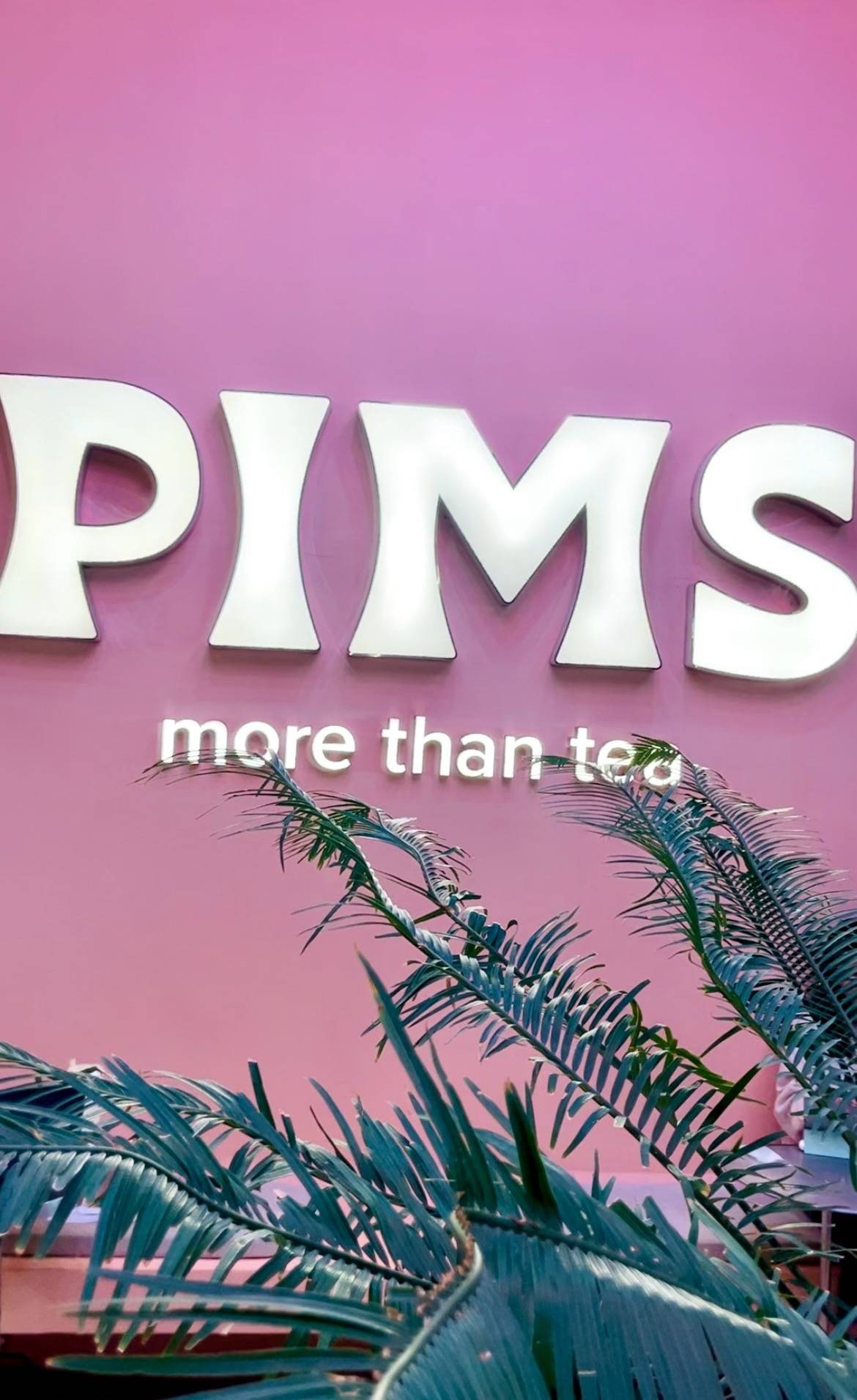 รูป PIMS Tea One Bangkok