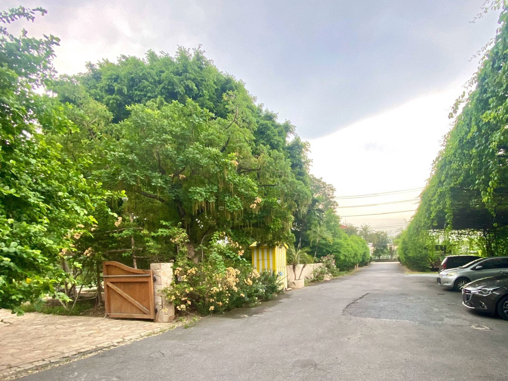 รีวิว The Reise - อาหารอร่อย บรรยากาศดี