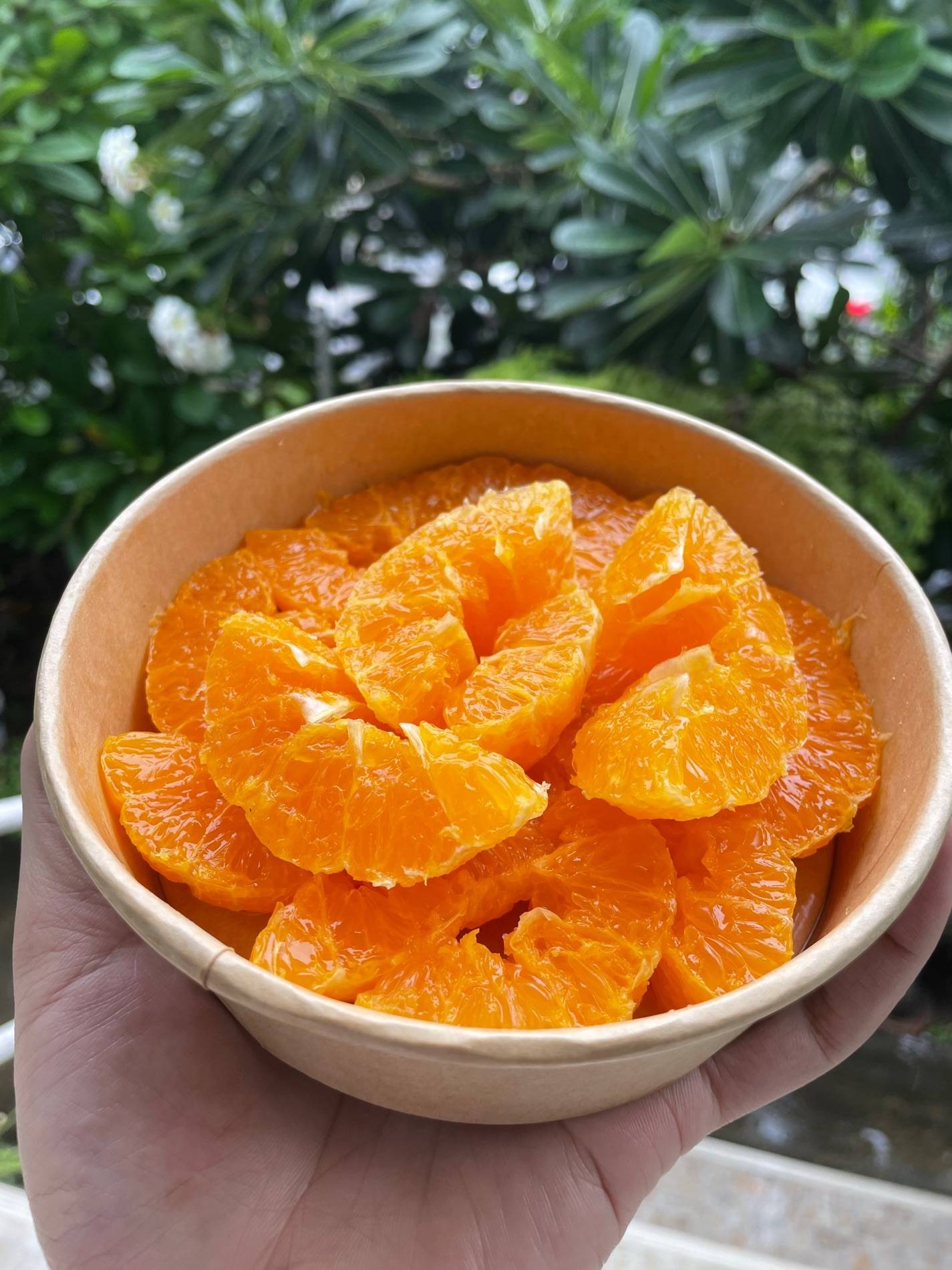 ร้าน Hello Greek and Fruit | รีวิวร้านอาหาร