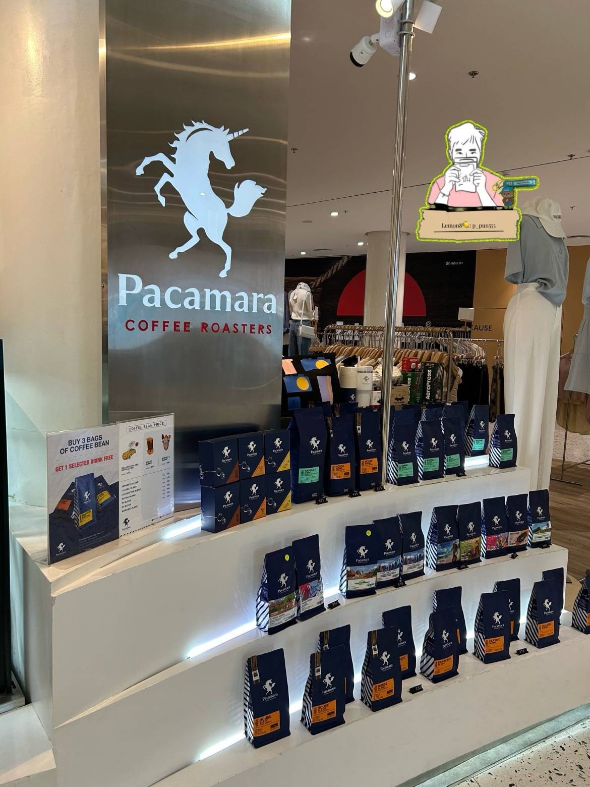 รีวิว PACAMARA เซ็นทรัล พระราม2 - คอกาแฟห้ามพลาด! ☕💬