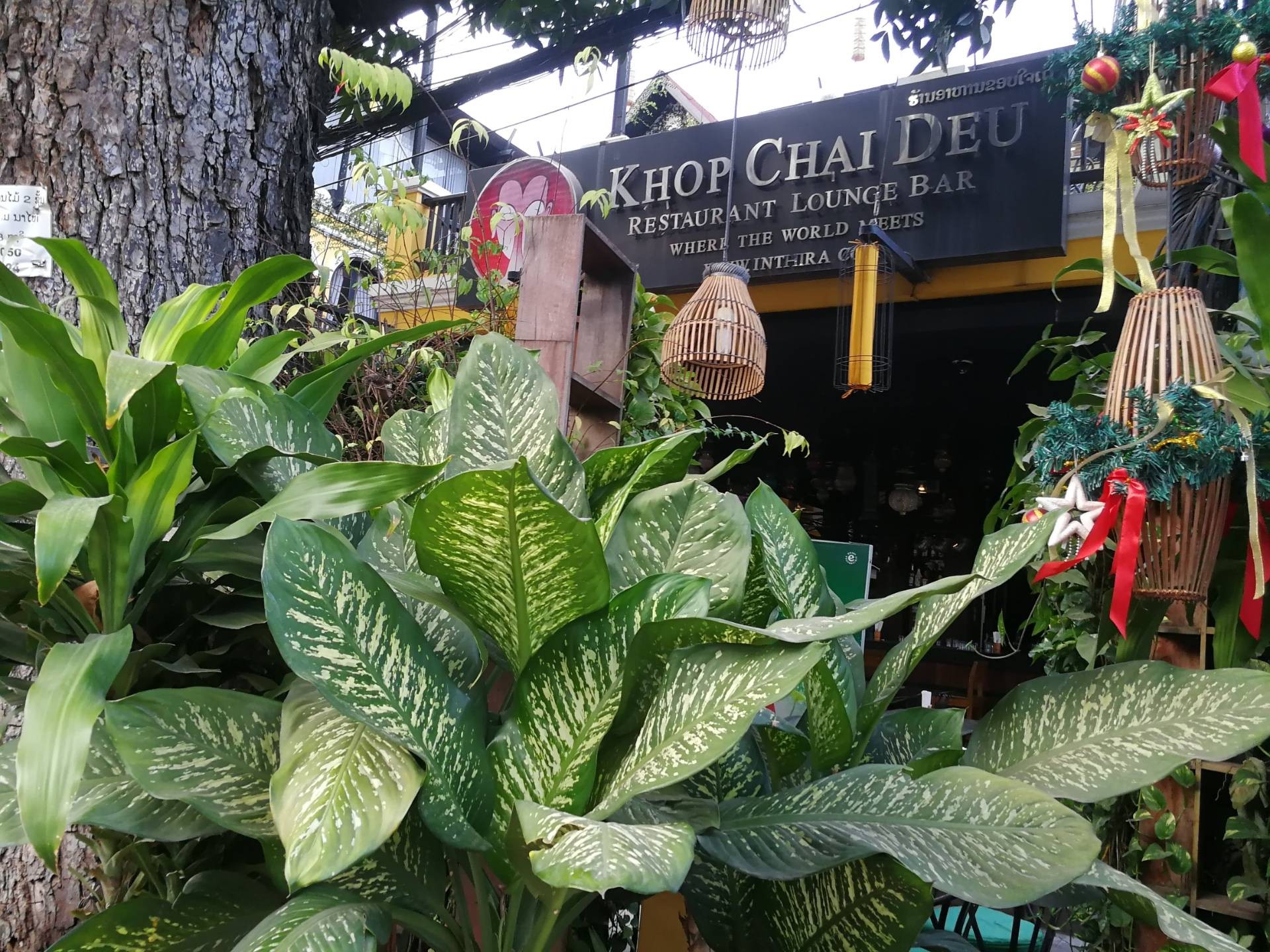 รีวิว Khop Chai Deu Restaurant Khop Chai Deu Thakhek - ร้านอาหารและบาร์ยอดนิยมในเวียง จันทน์