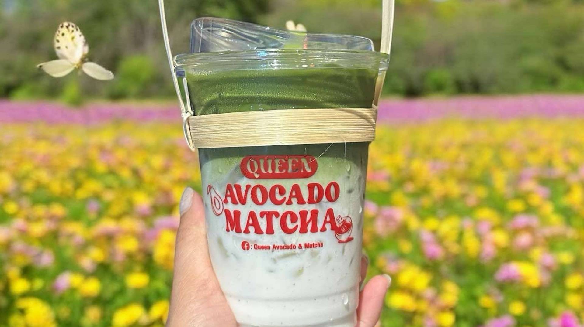 QUEEN Avocado and Matcha - สั่งอาหารเดลิเวอรี | Wongnai x LINE MAN